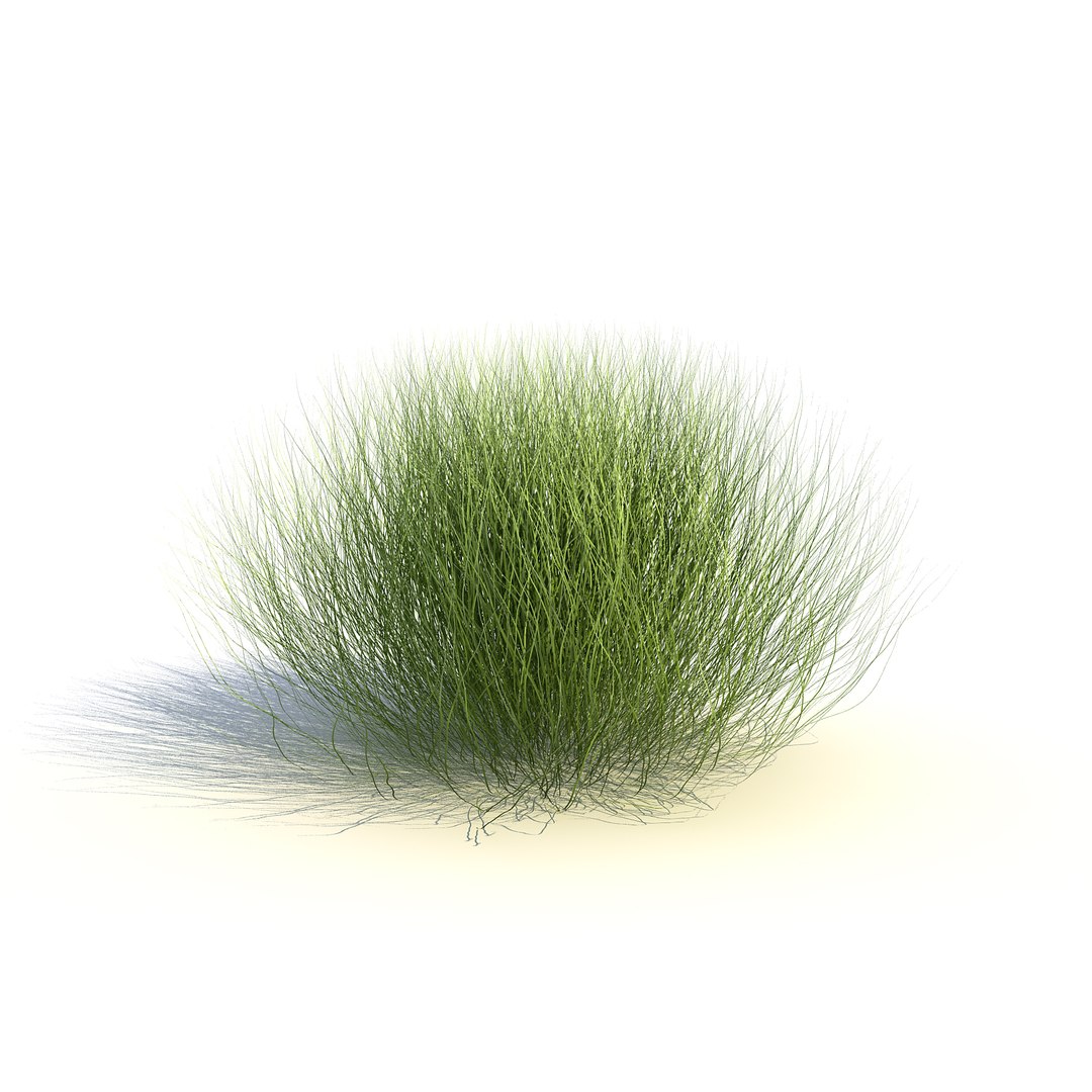 3d grass furry