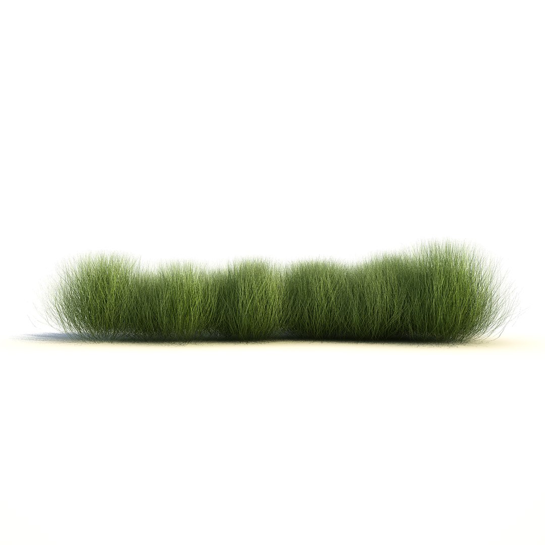 3d grass furry