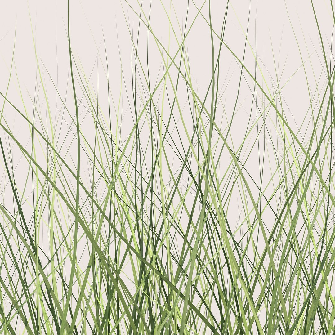 3d grass furry