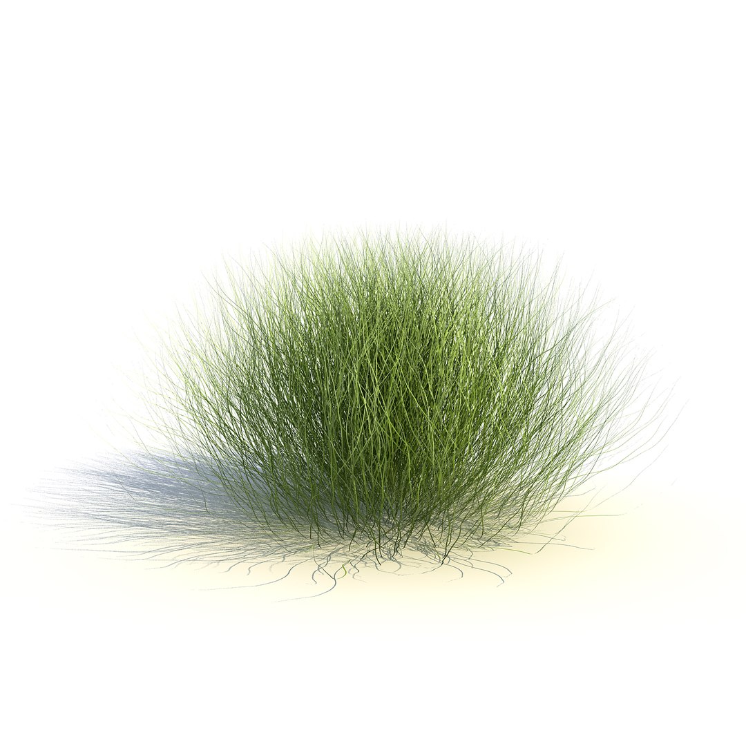 3d grass furry