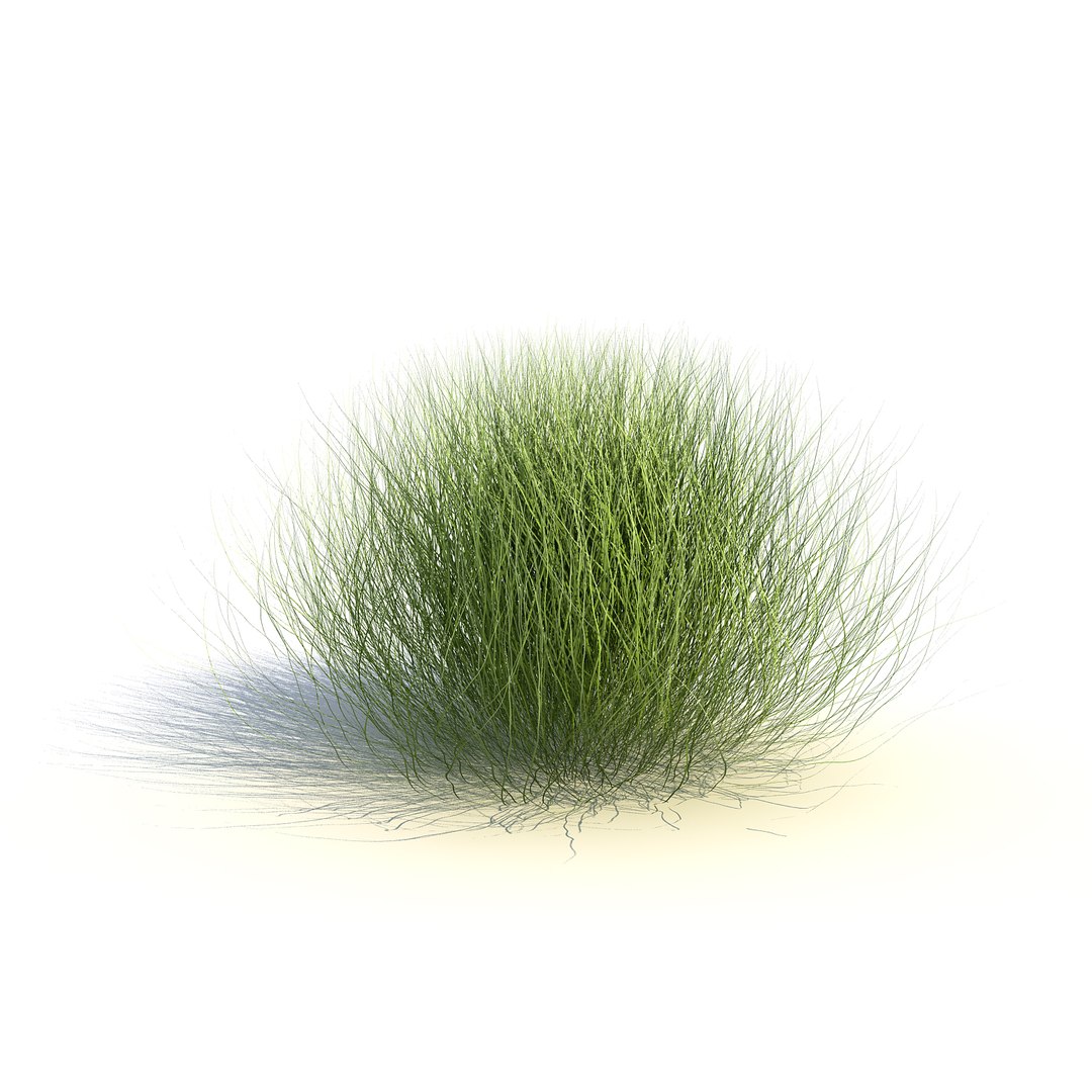 3d grass furry