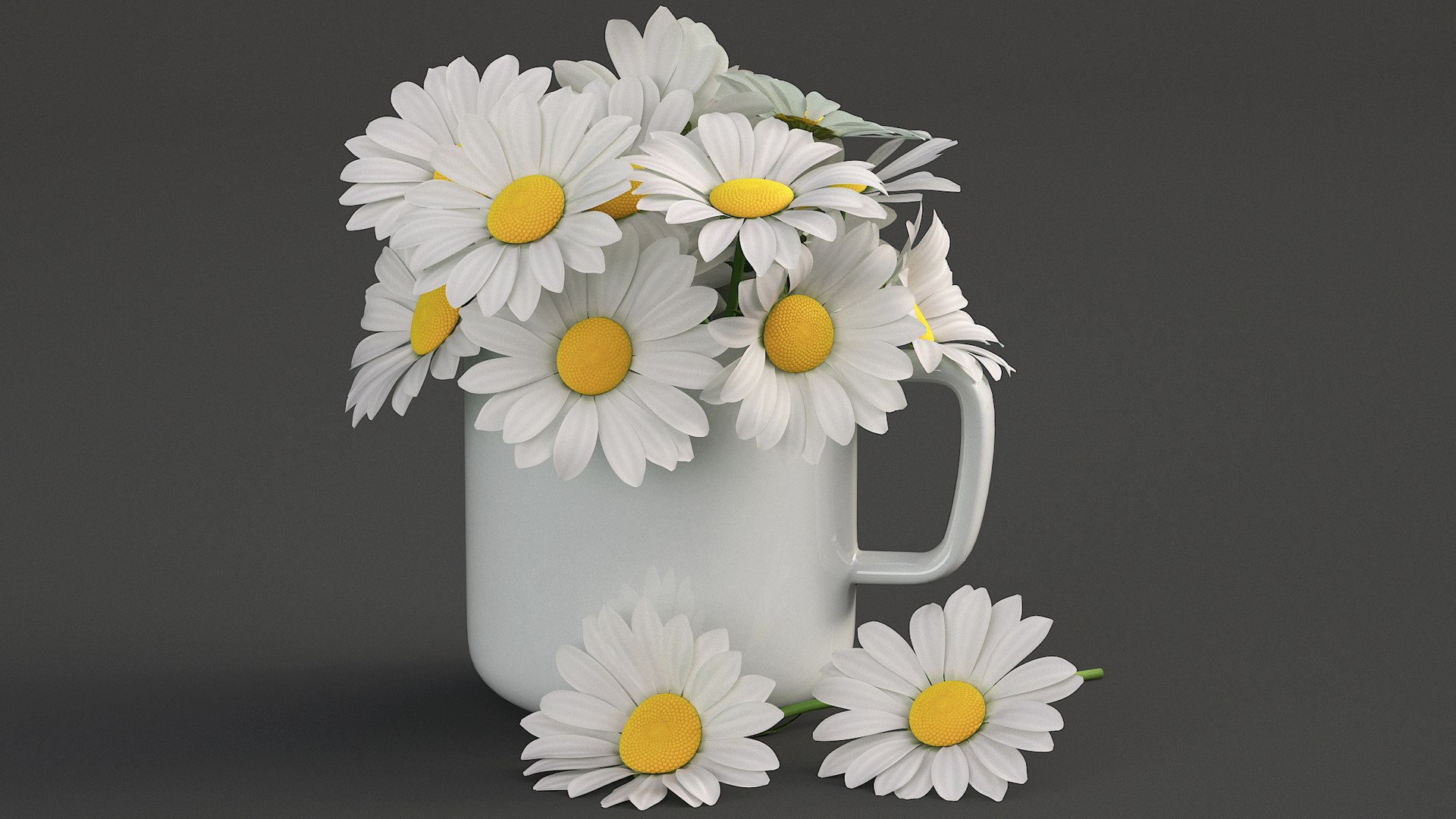3D Chamomile Model - TurboSquid 1599035