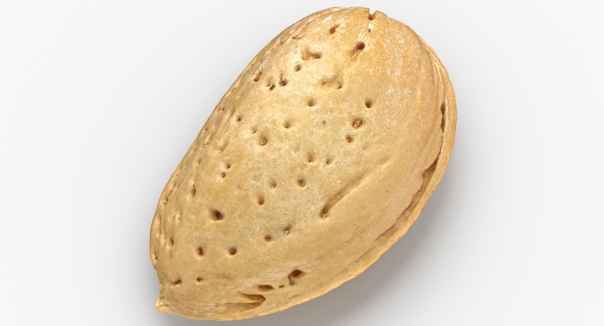 Almond shell 03 3D model - TurboSquid 1518402