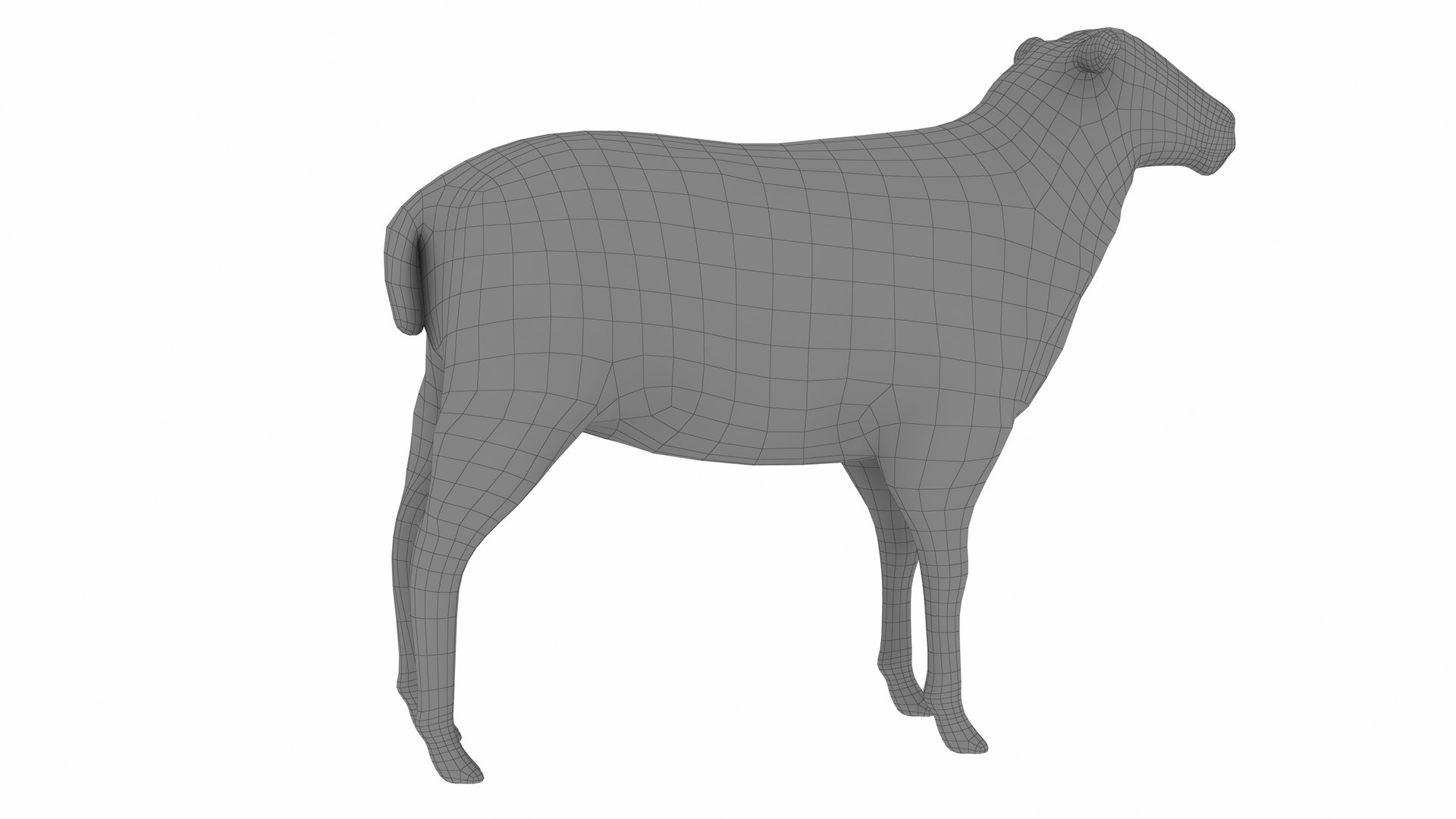 Sheep 3D Model - TurboSquid 2342924