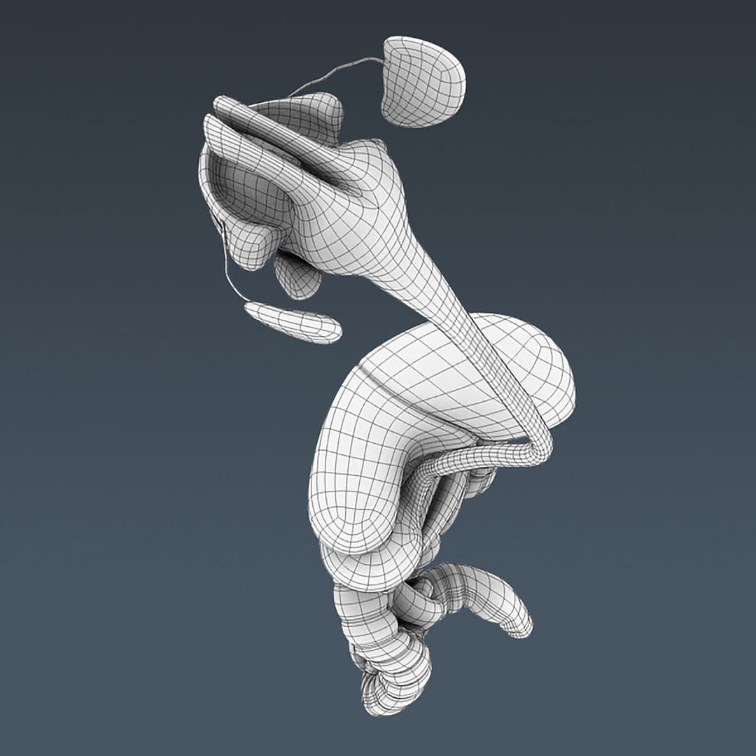 Human Digestive Skeleton - Obj