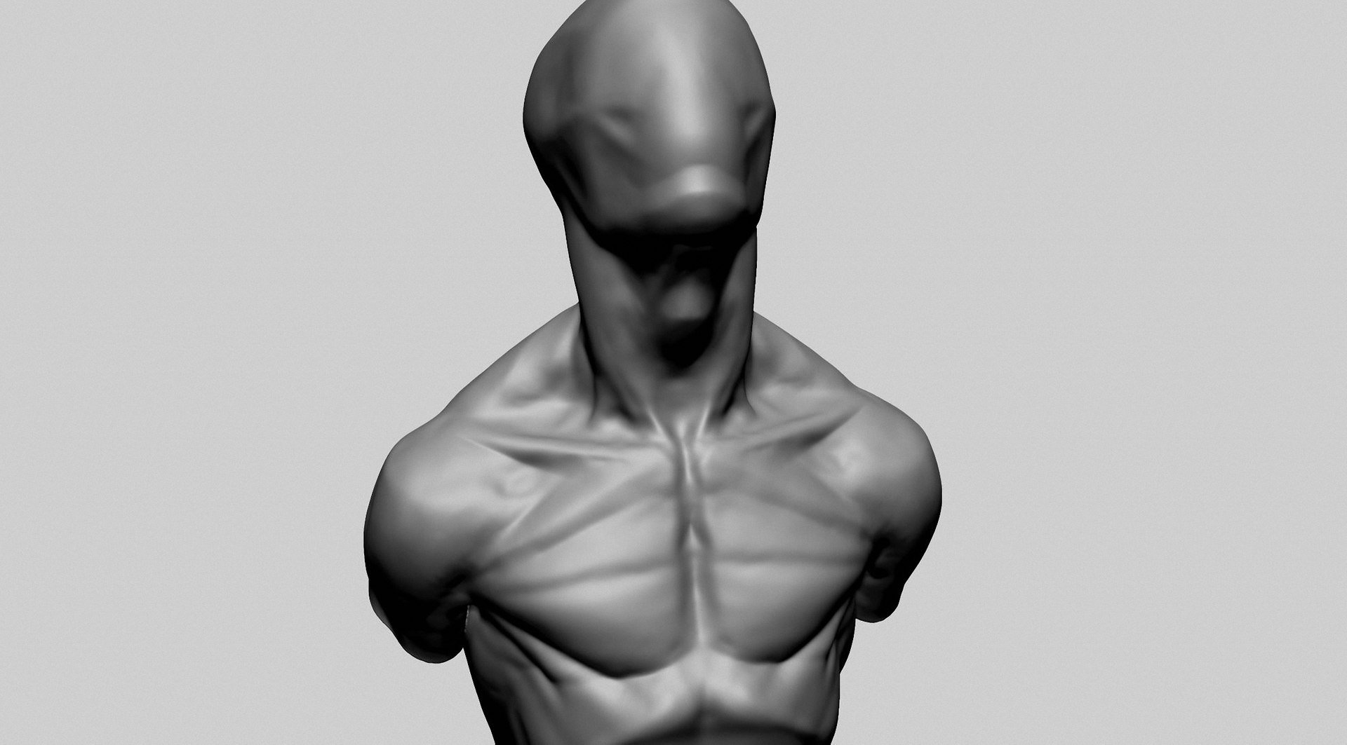 3D Model Base Male Torso C - TurboSquid 2198893