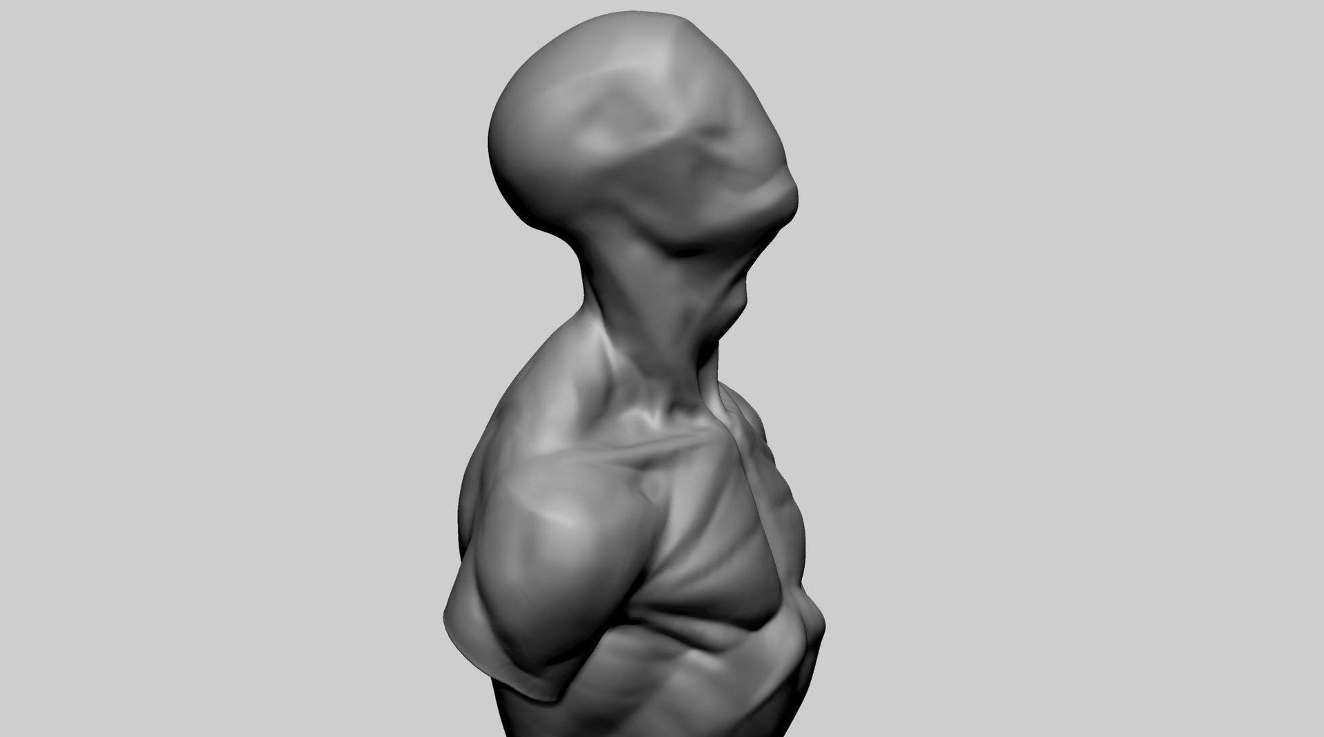 3D Model Base Male Torso C - TurboSquid 2198893