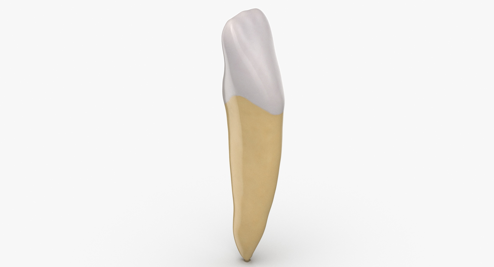 3D model Human Lower Jaw Incisors Clean and Broken Collection - 6 ...