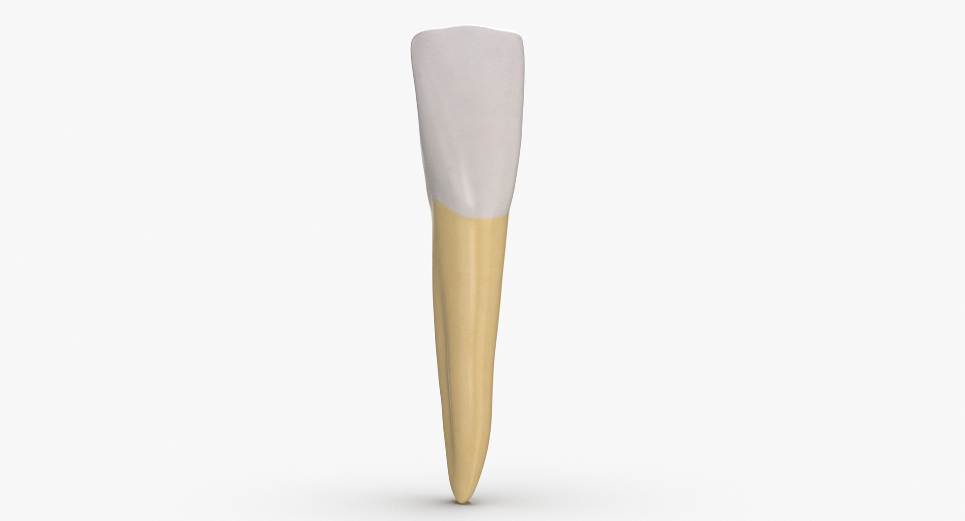 3D model Human Lower Jaw Incisors Clean and Broken Collection - 6 ...