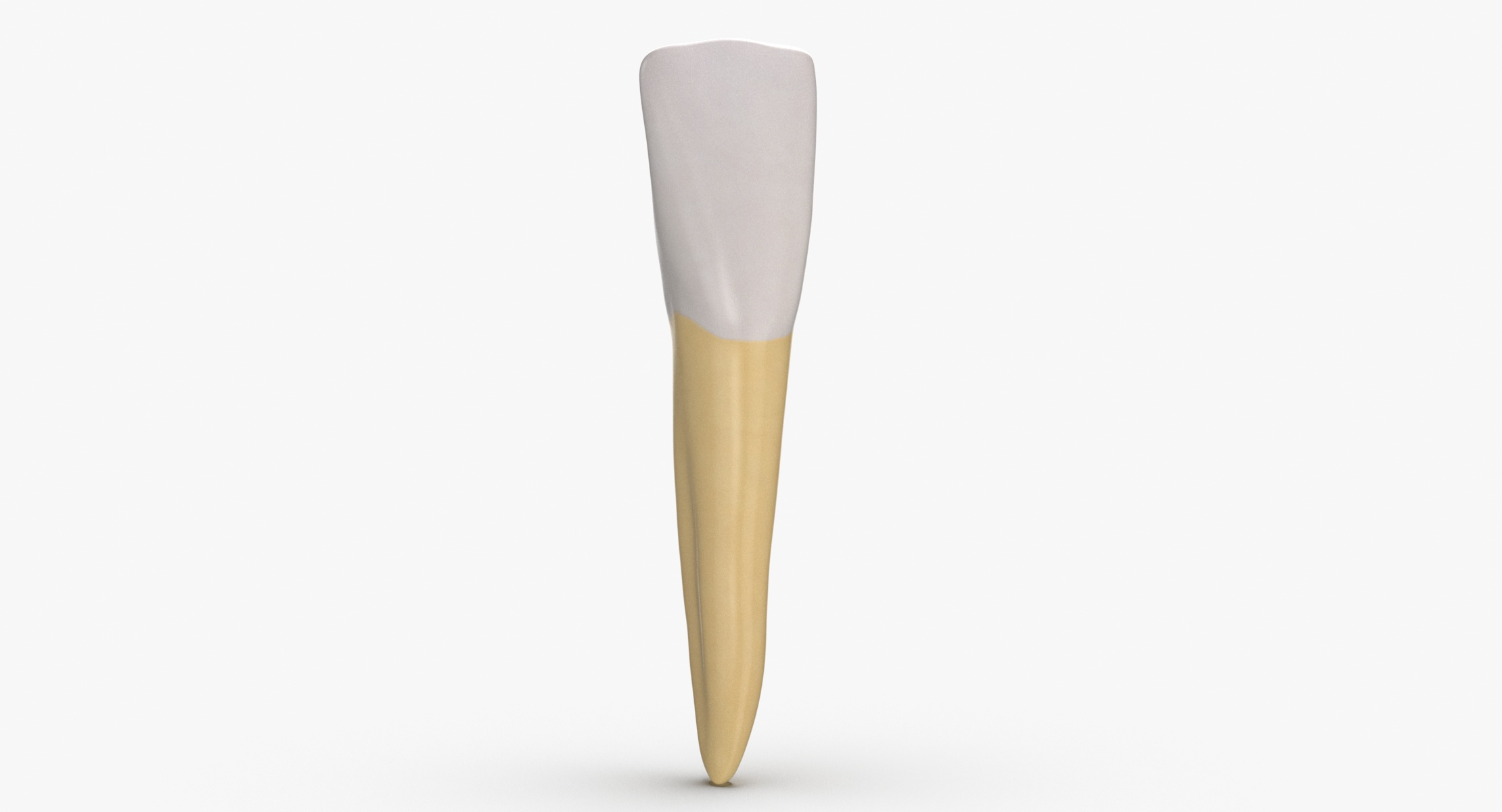 3D model Human Lower Jaw Incisors Clean and Broken Collection - 6 ...