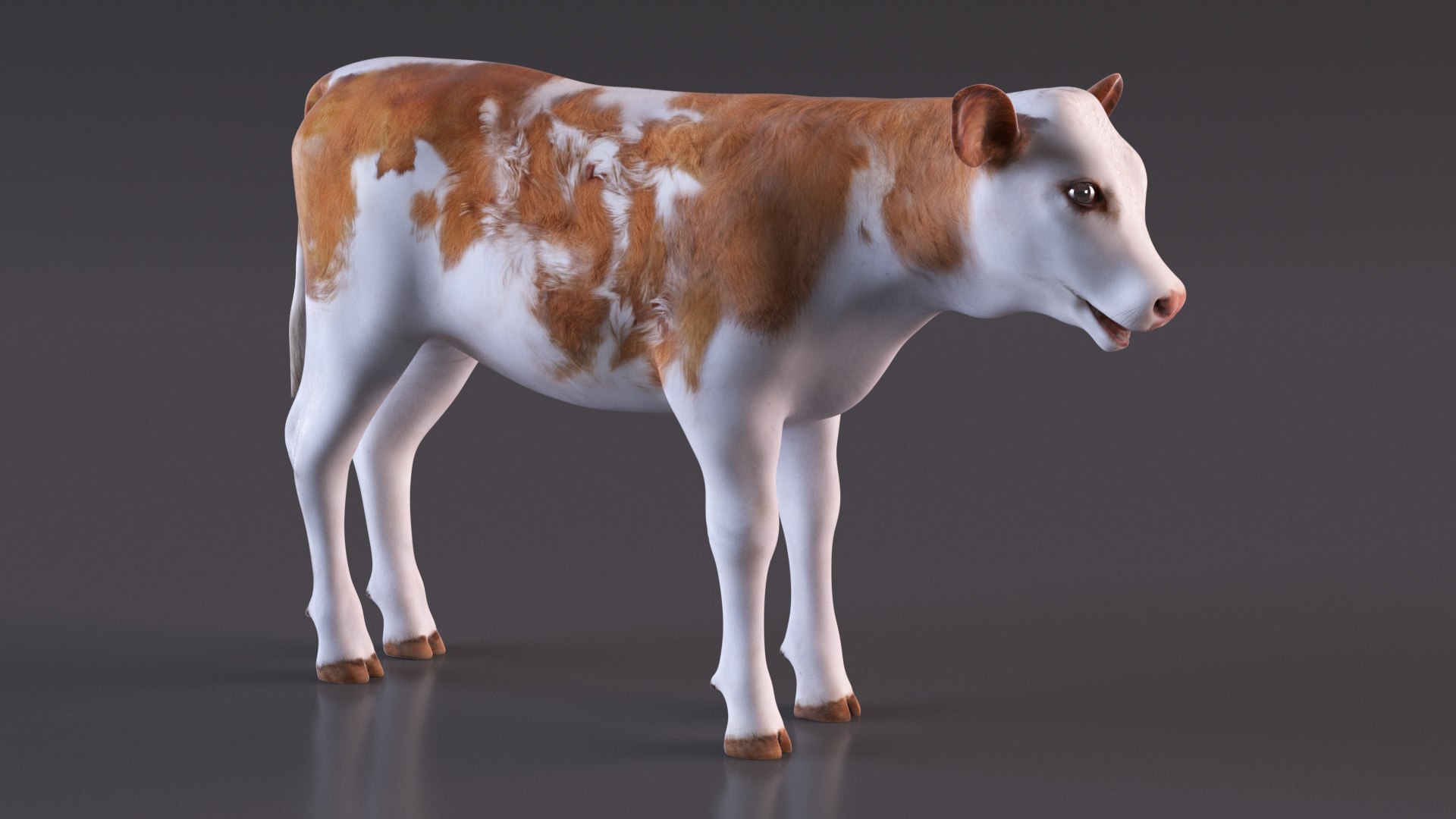 3D Cow Calf Rigged For Maya - TurboSquid 2280284