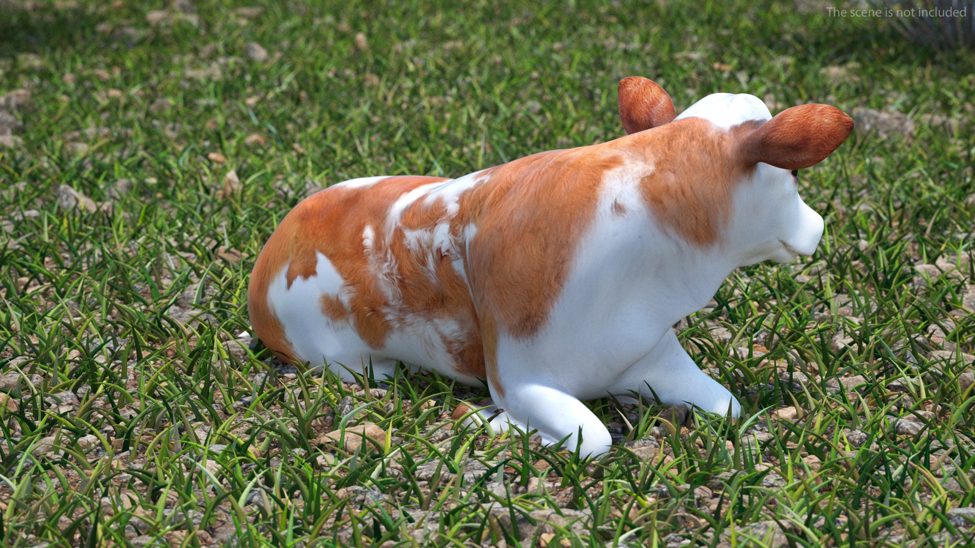 3D Cow Calf Rigged For Maya - TurboSquid 2280284