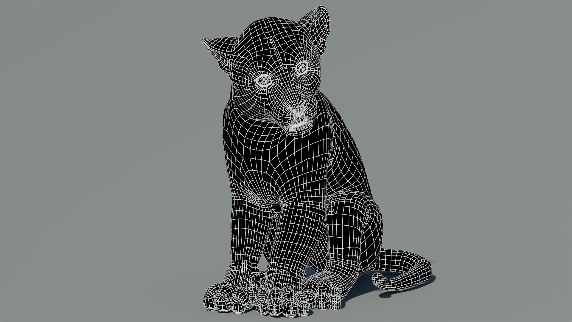 3D Rigged Leopard Cub 3D Model - TurboSquid 2159359