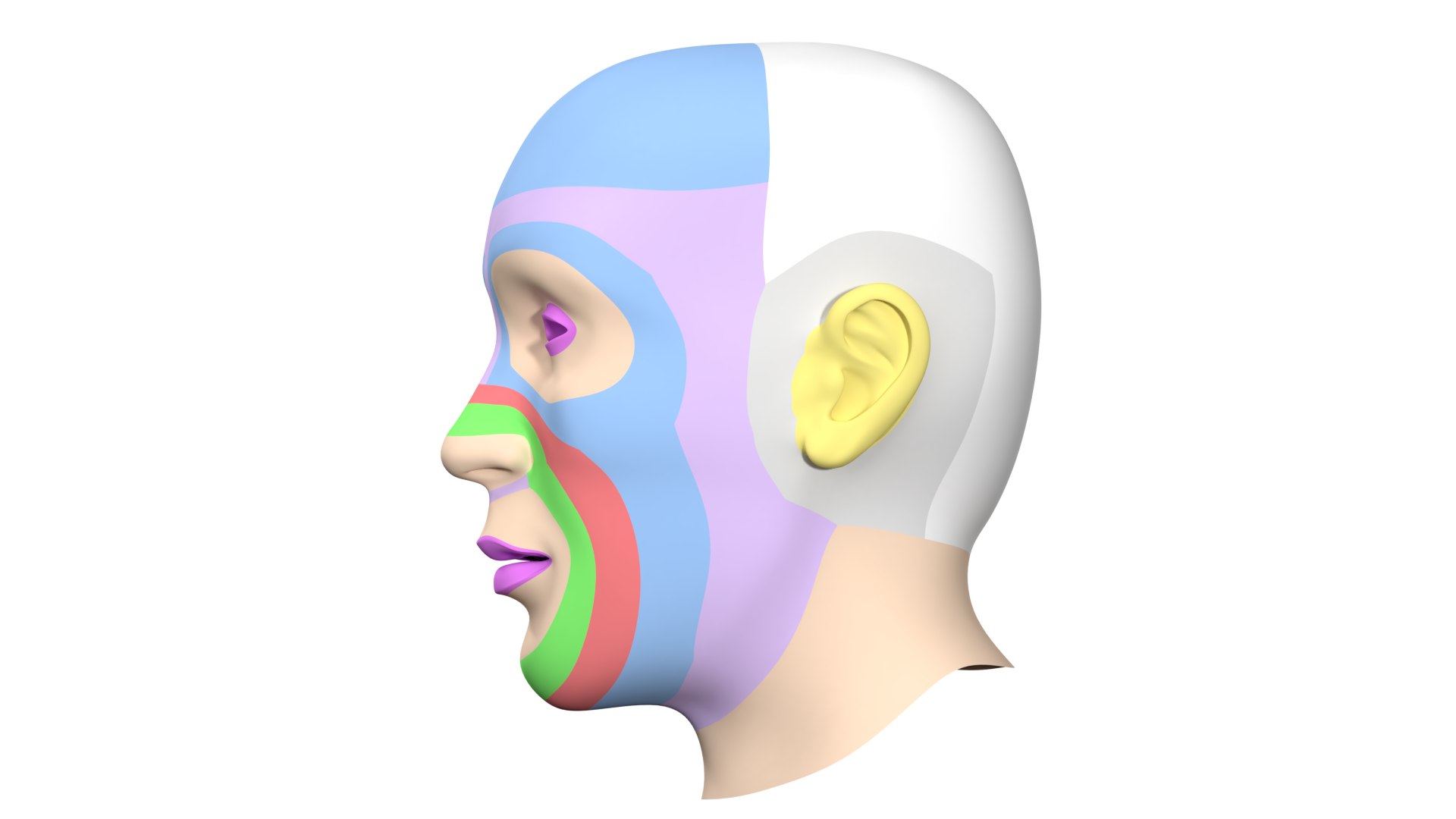 Head Base Mesh 3D Model-Cabeza Base 3D - TurboSquid 1764345
