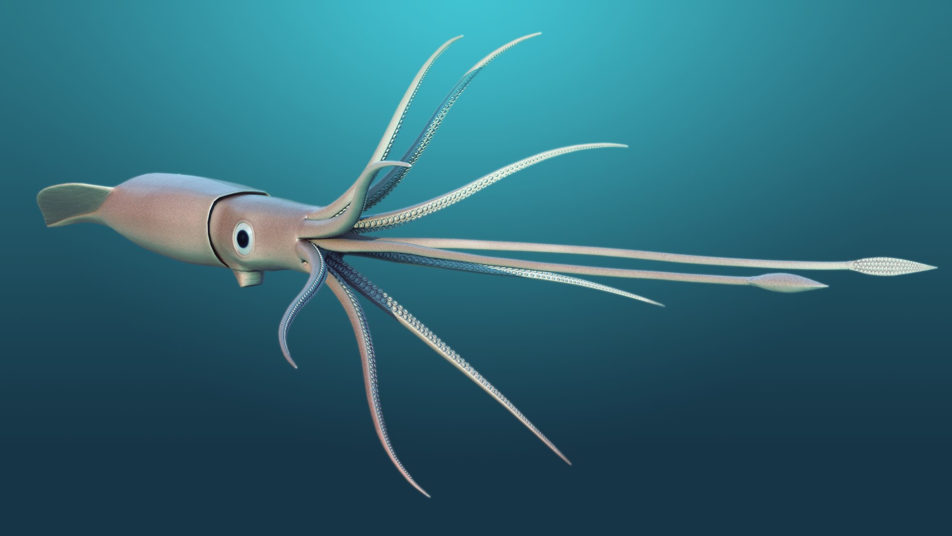 3D Giant Squid Model - TurboSquid 1456636