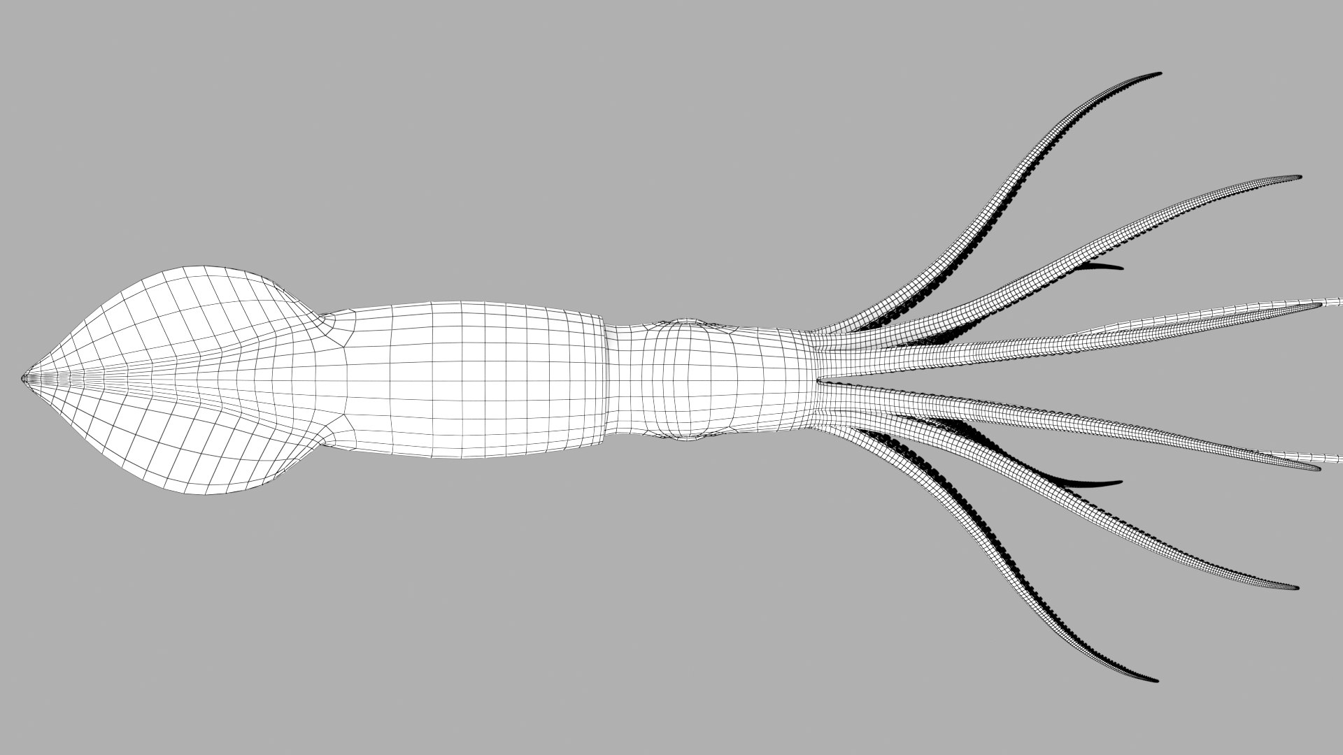 3D Giant Squid Model - TurboSquid 1456636