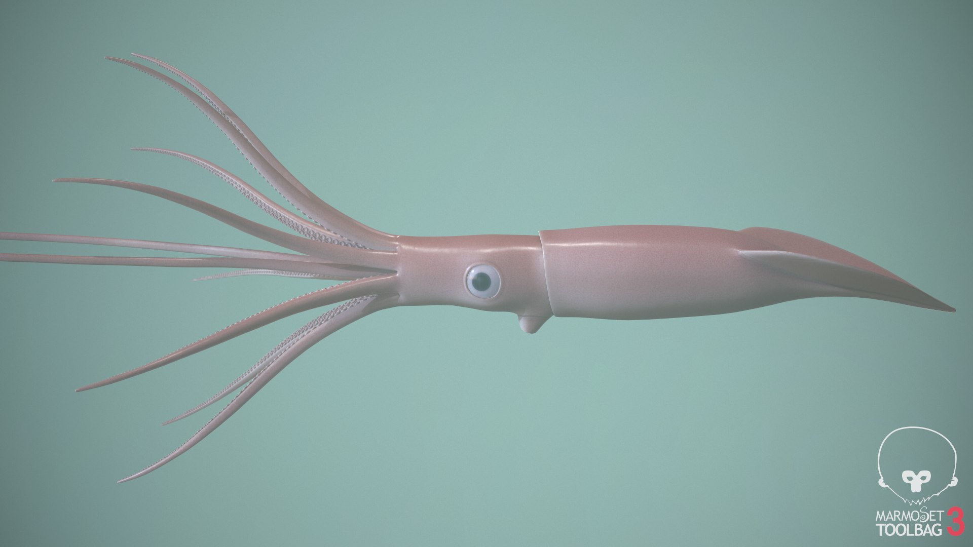3D Giant Squid Model - TurboSquid 1456636
