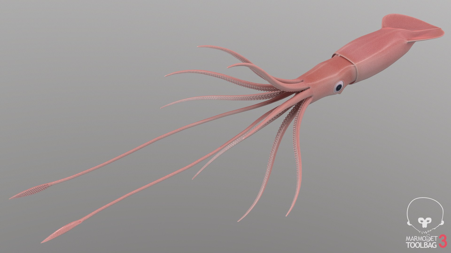 3D Giant Squid Model - TurboSquid 1456636