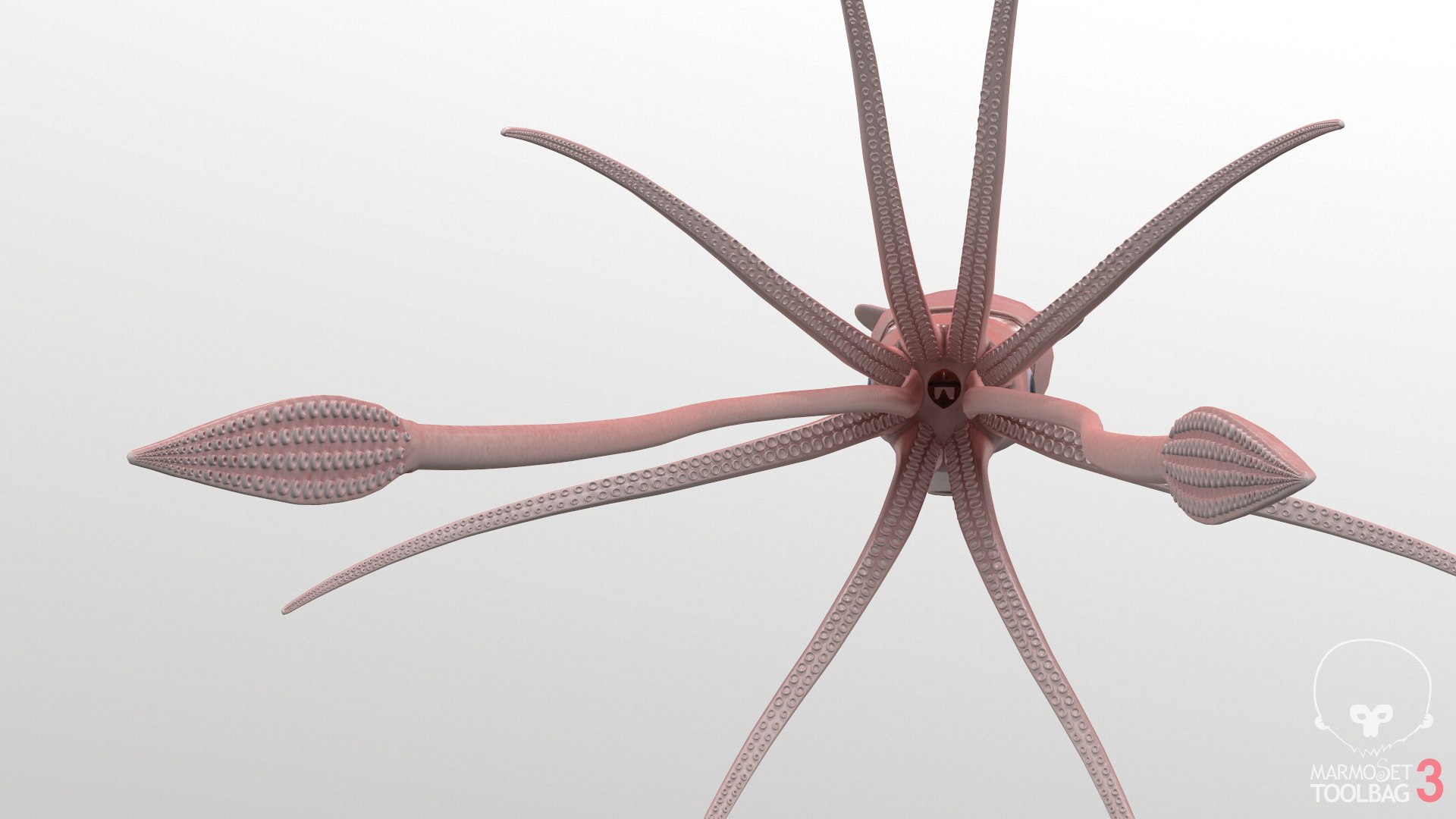 3D Giant Squid Model - TurboSquid 1456636
