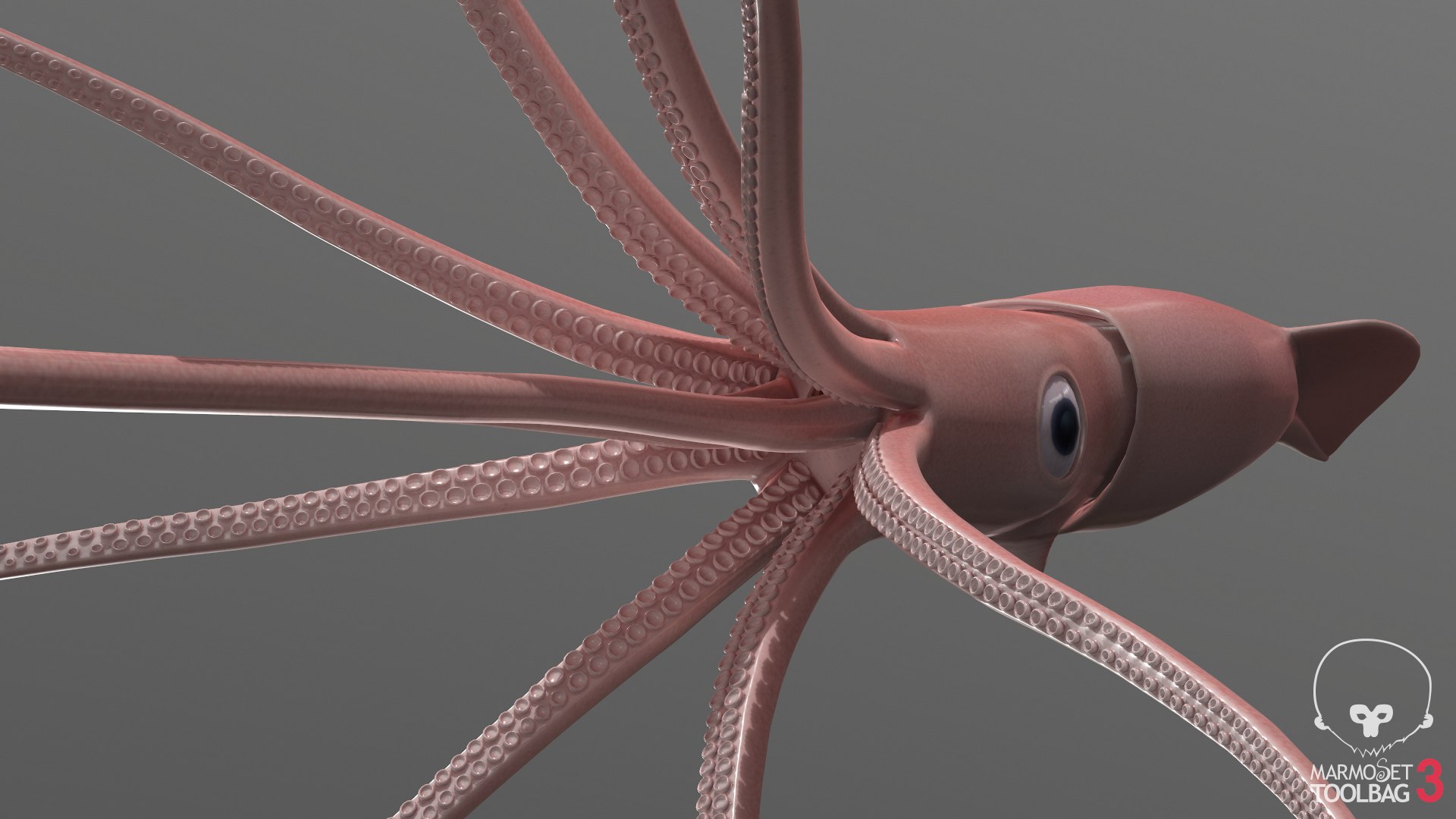 3D Giant Squid Model - TurboSquid 1456636