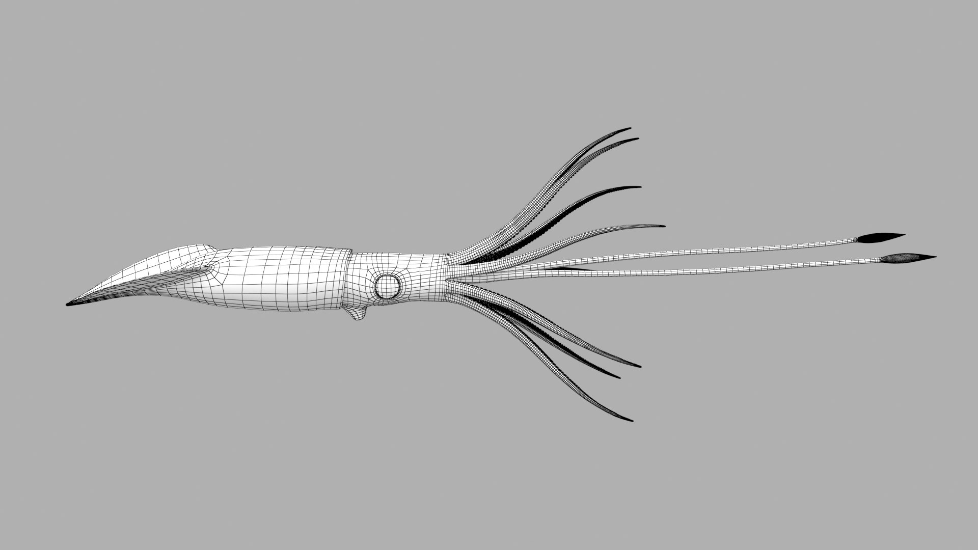 3D Giant Squid Model - TurboSquid 1456636