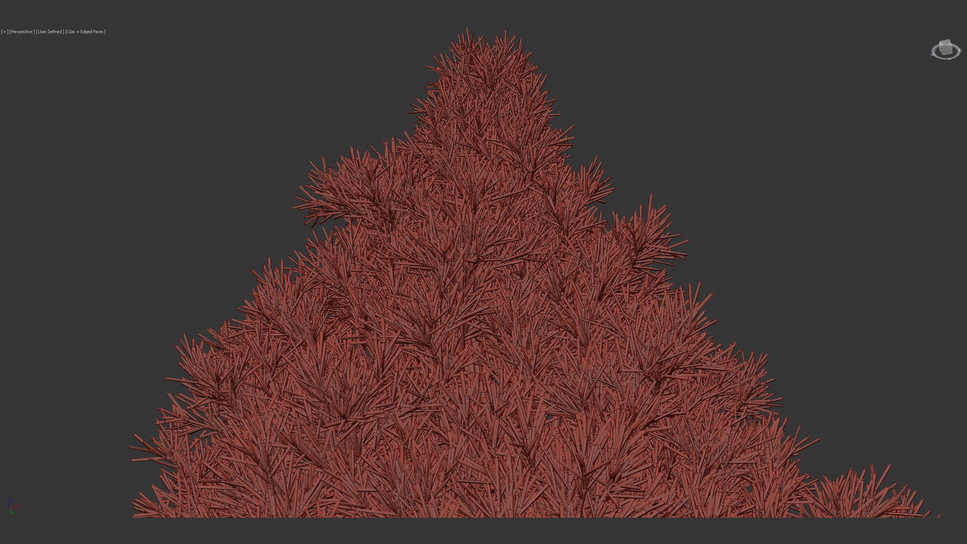 3D Juniperus Phoenicea Phoenician Juniper - TurboSquid 2049963