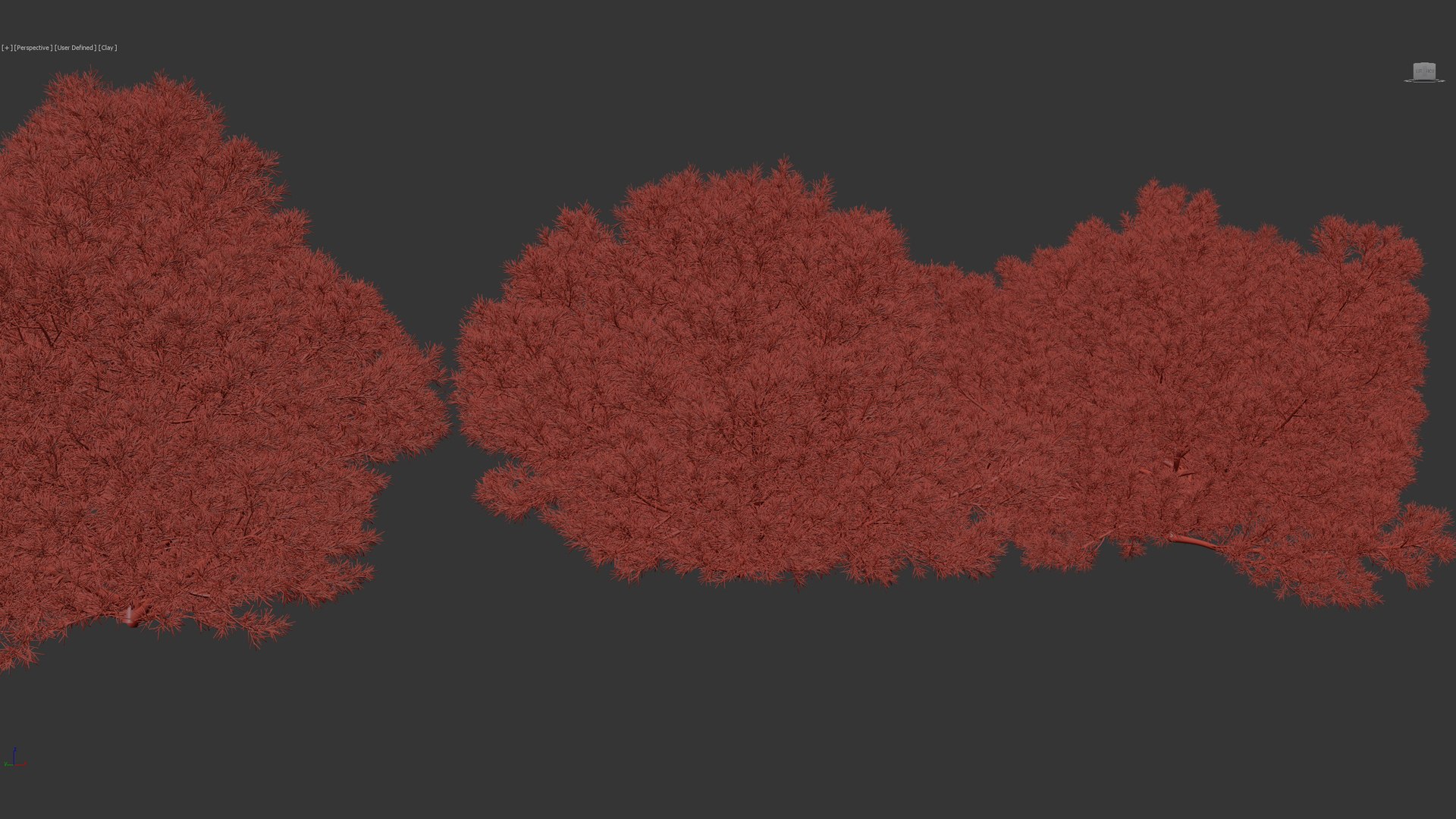 3D Juniperus Phoenicea Phoenician Juniper - TurboSquid 2049963
