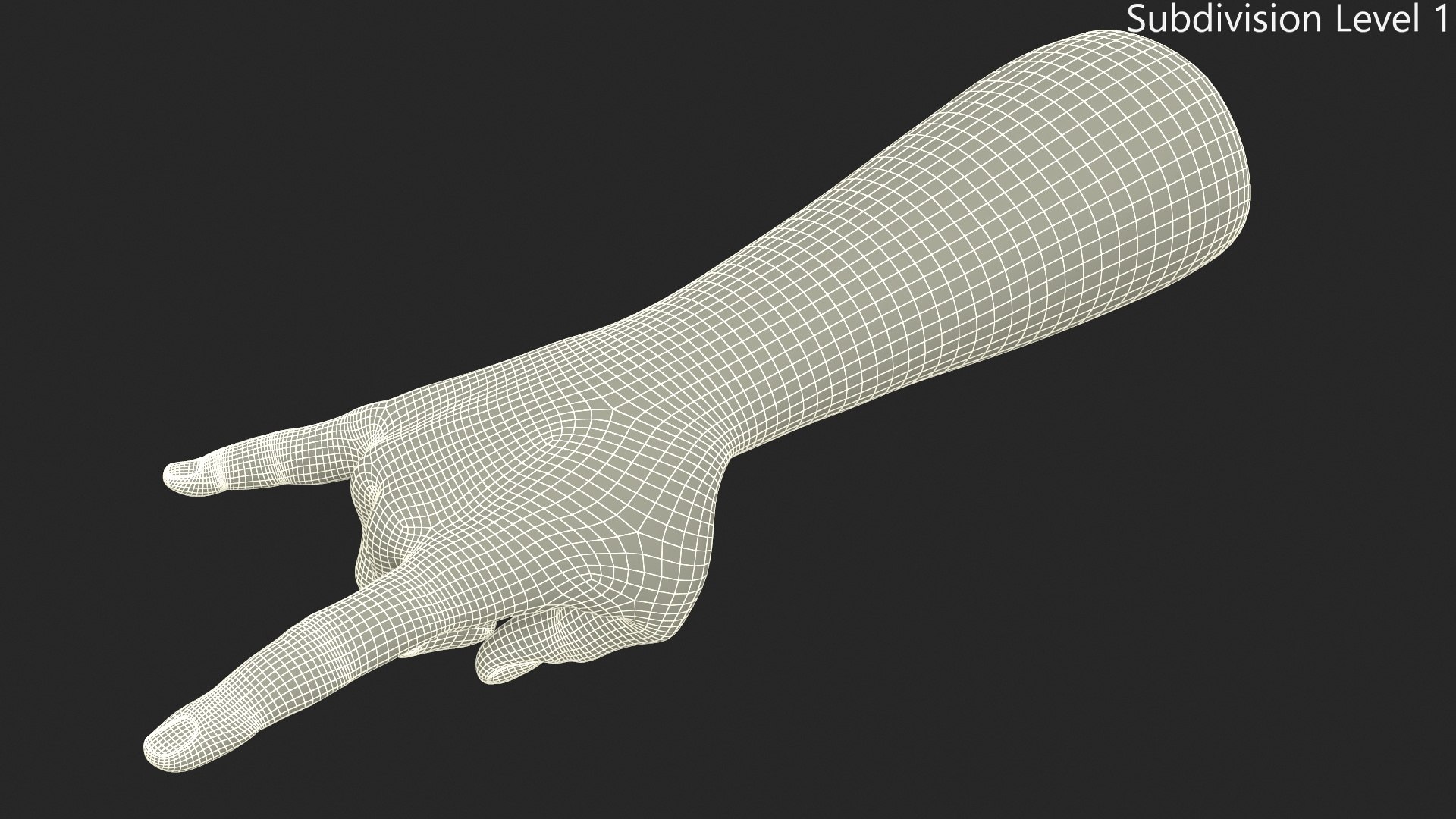 Masculine Hand Heavy Metal Pose 3D Model - TurboSquid 2193630