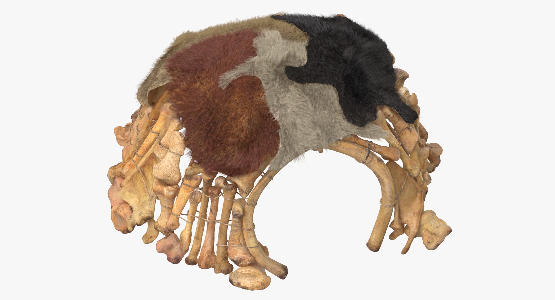 Prehistoric Mammoth Bones Hut 01 Model - TurboSquid 2115818