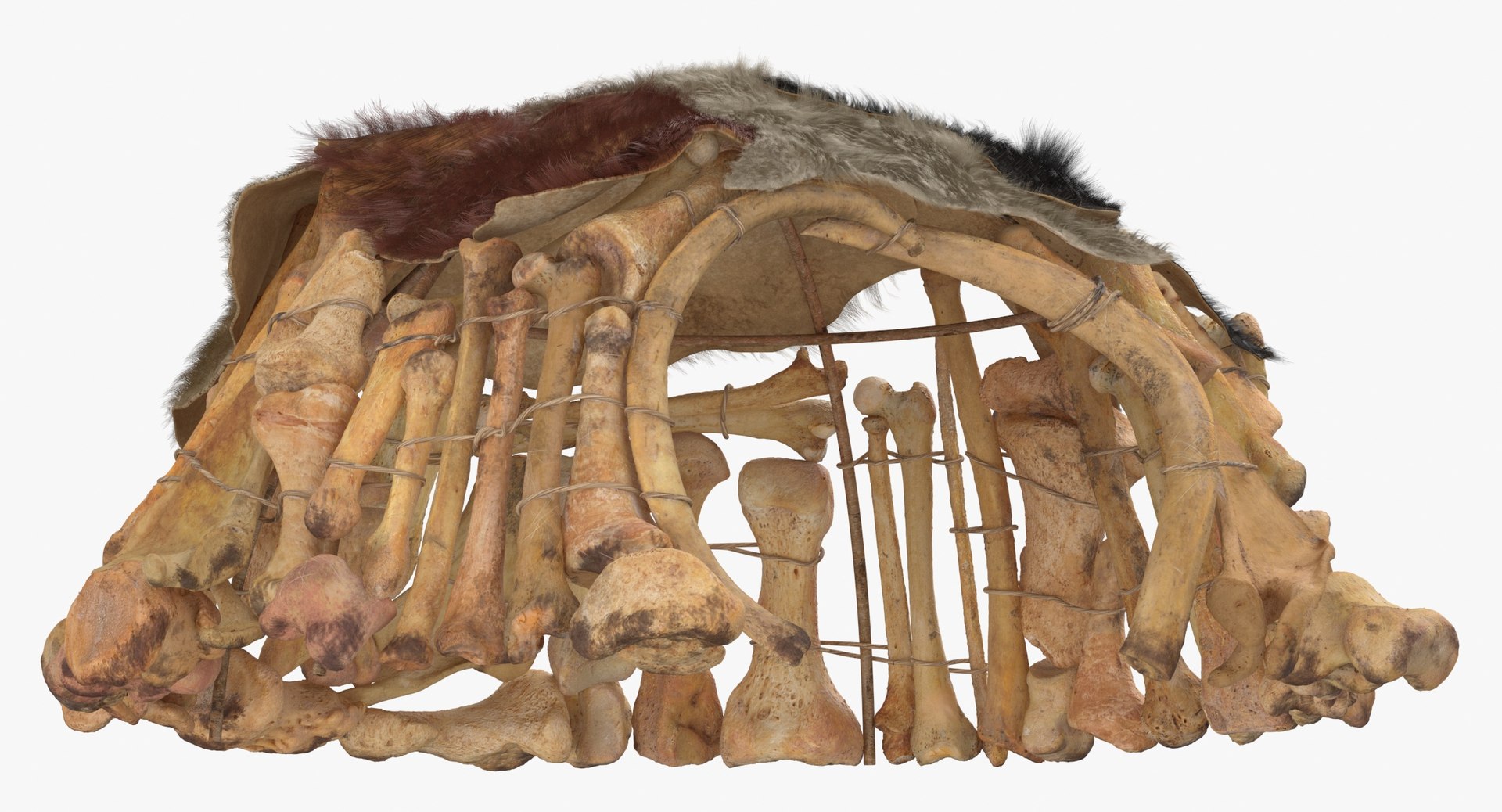 Prehistoric Mammoth Bones Hut 01 Model - TurboSquid 2115818
