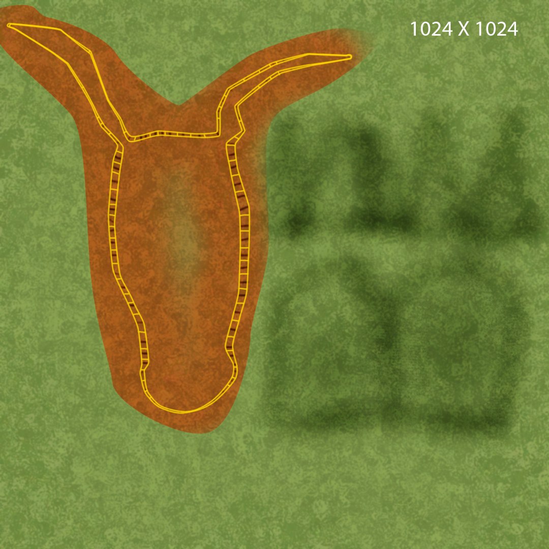 3d Model Cnideria Phylum Species