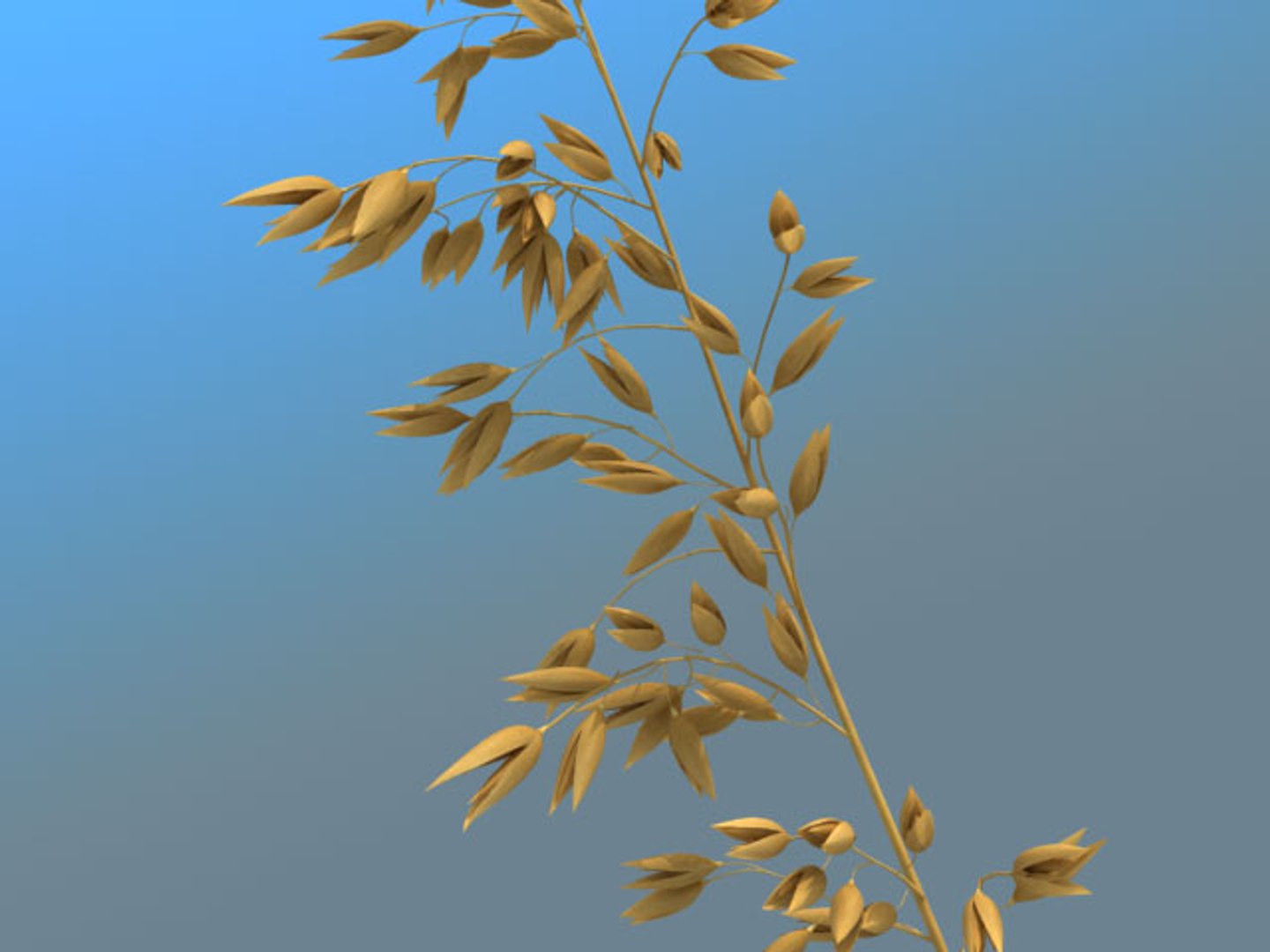 3d Model Of Oats