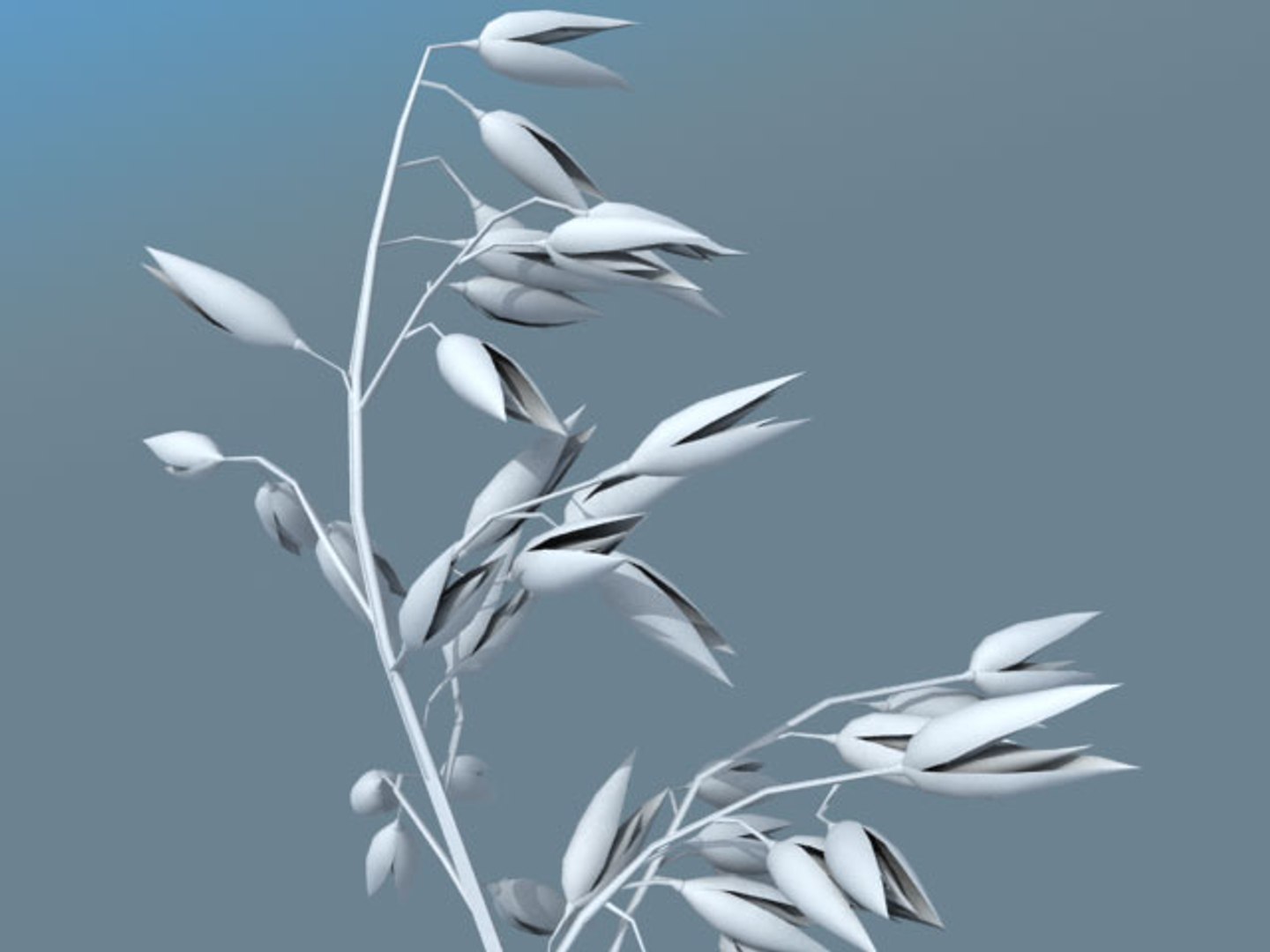 3d Model Of Oats
