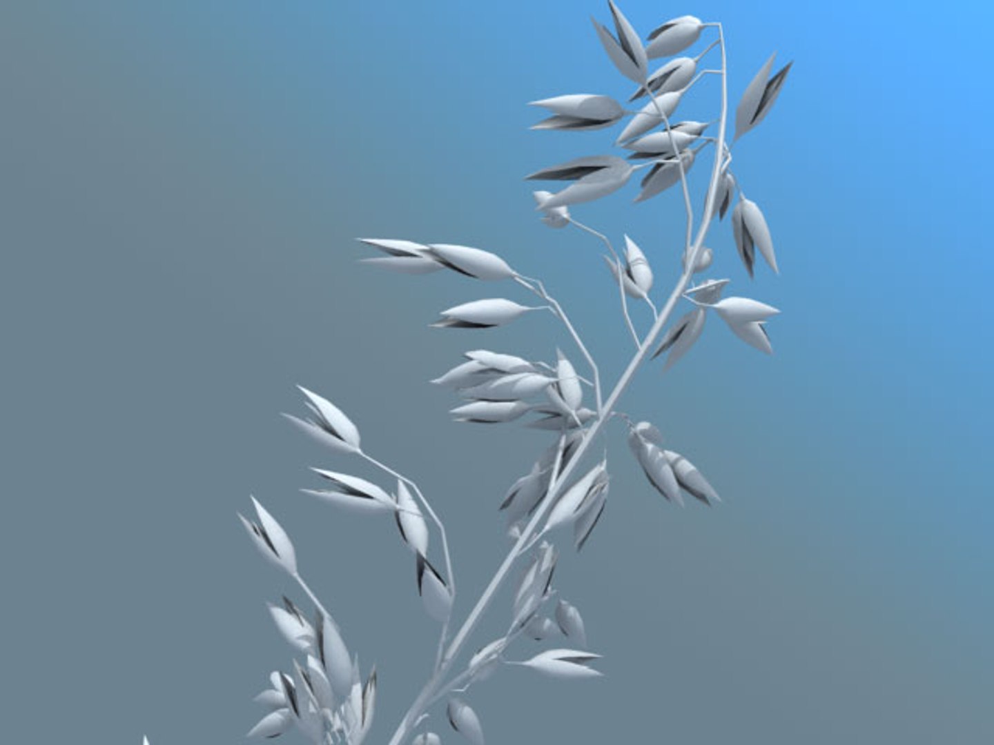 3d Model Of Oats