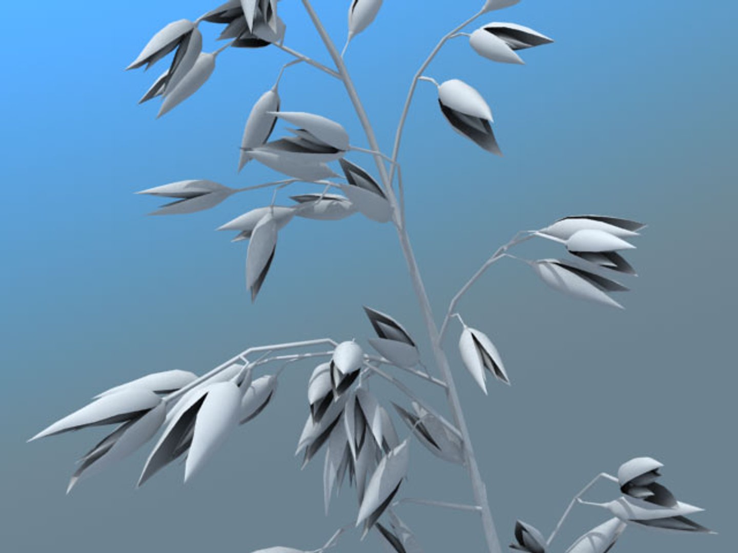 3d Model Of Oats
