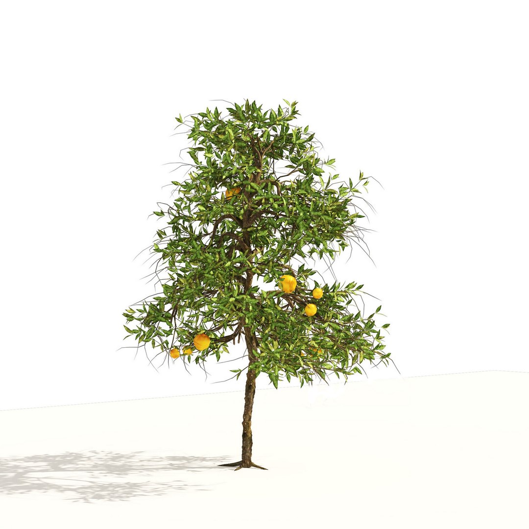 Highly Detailed Fruit Trees 3D Pack 01 3D - TurboSquid 2336129