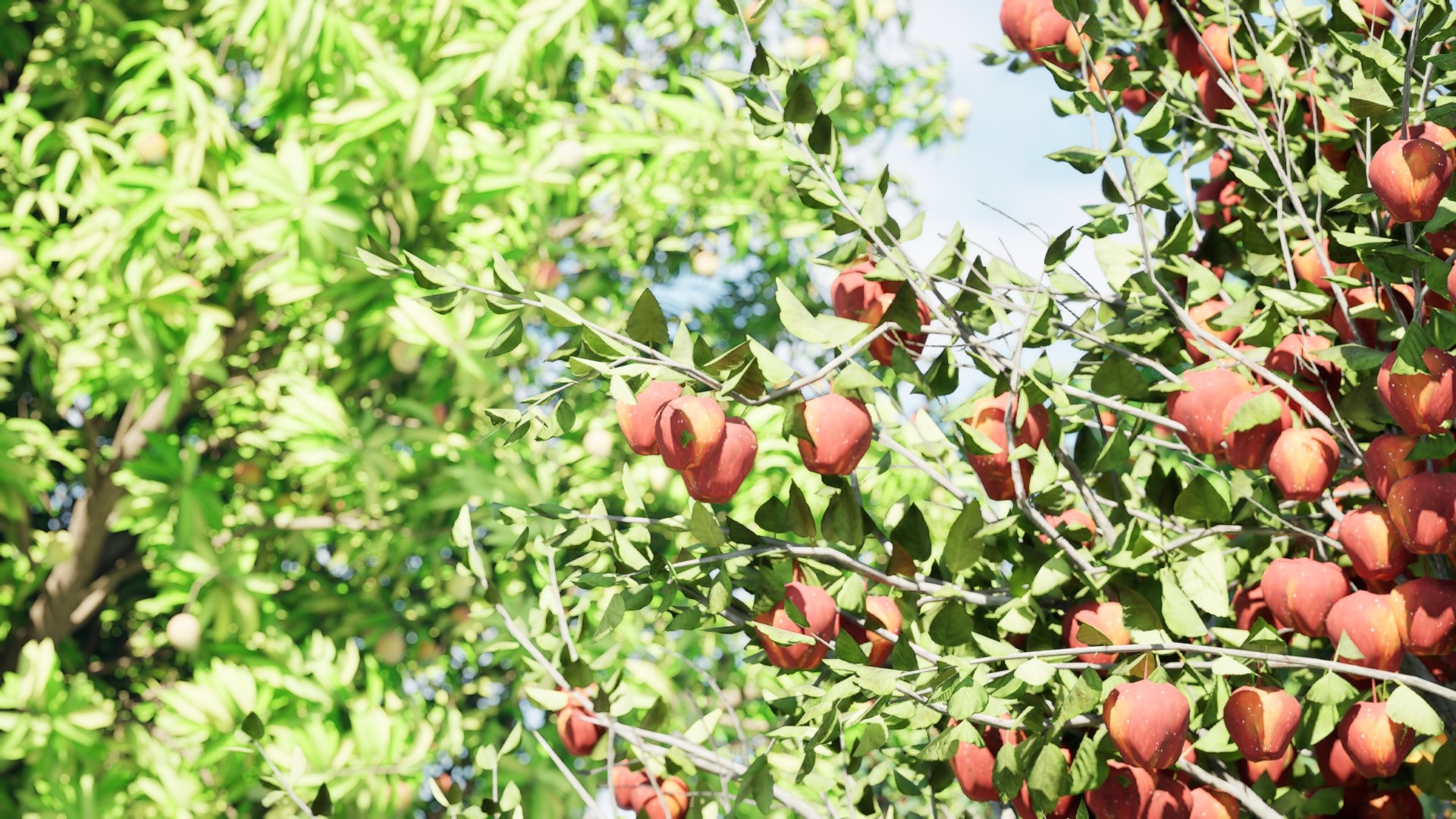 Highly Detailed Fruit Trees 3D Pack 01 3D - TurboSquid 2336129