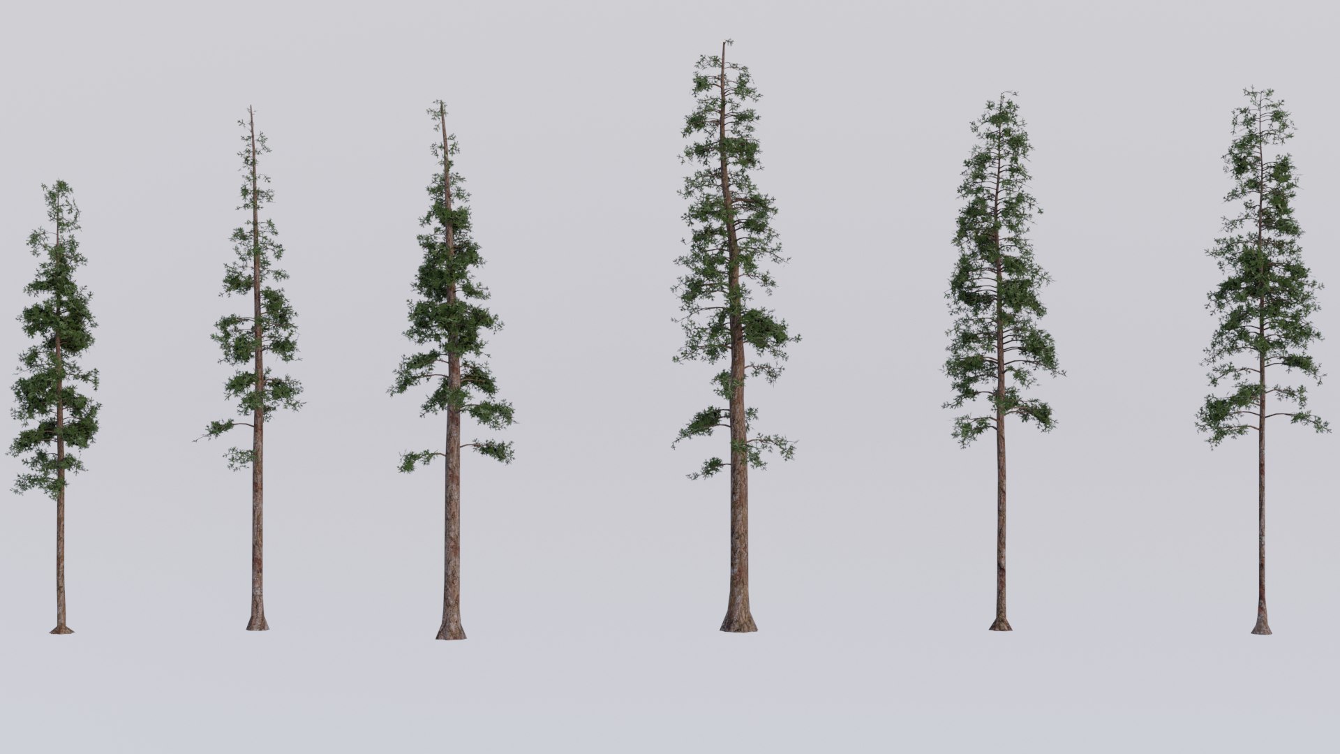 Pine Road Diner 3d Scene 3D Model - TurboSquid 1997018