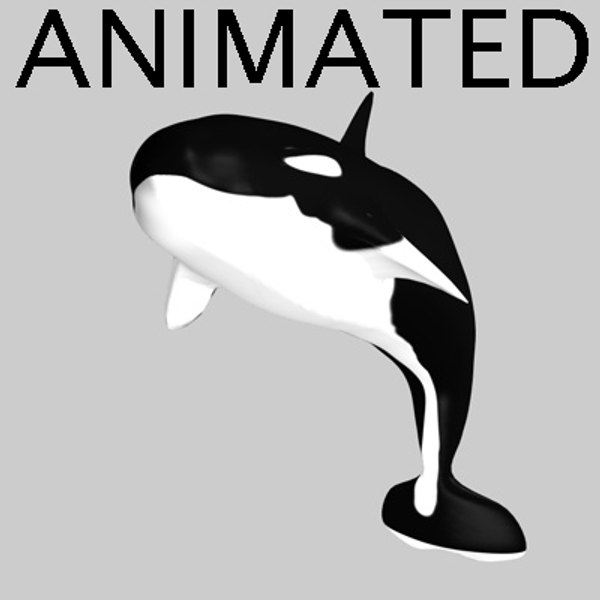Killer Whale Cinema 4D Models for Download | TurboSquid