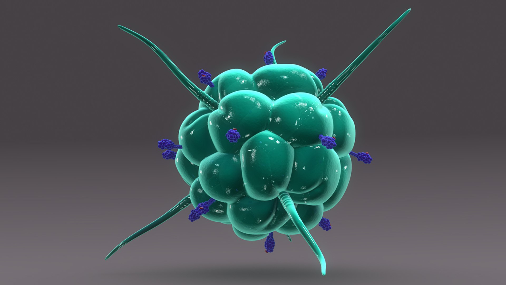 Macrophage Antigen 3d Obj