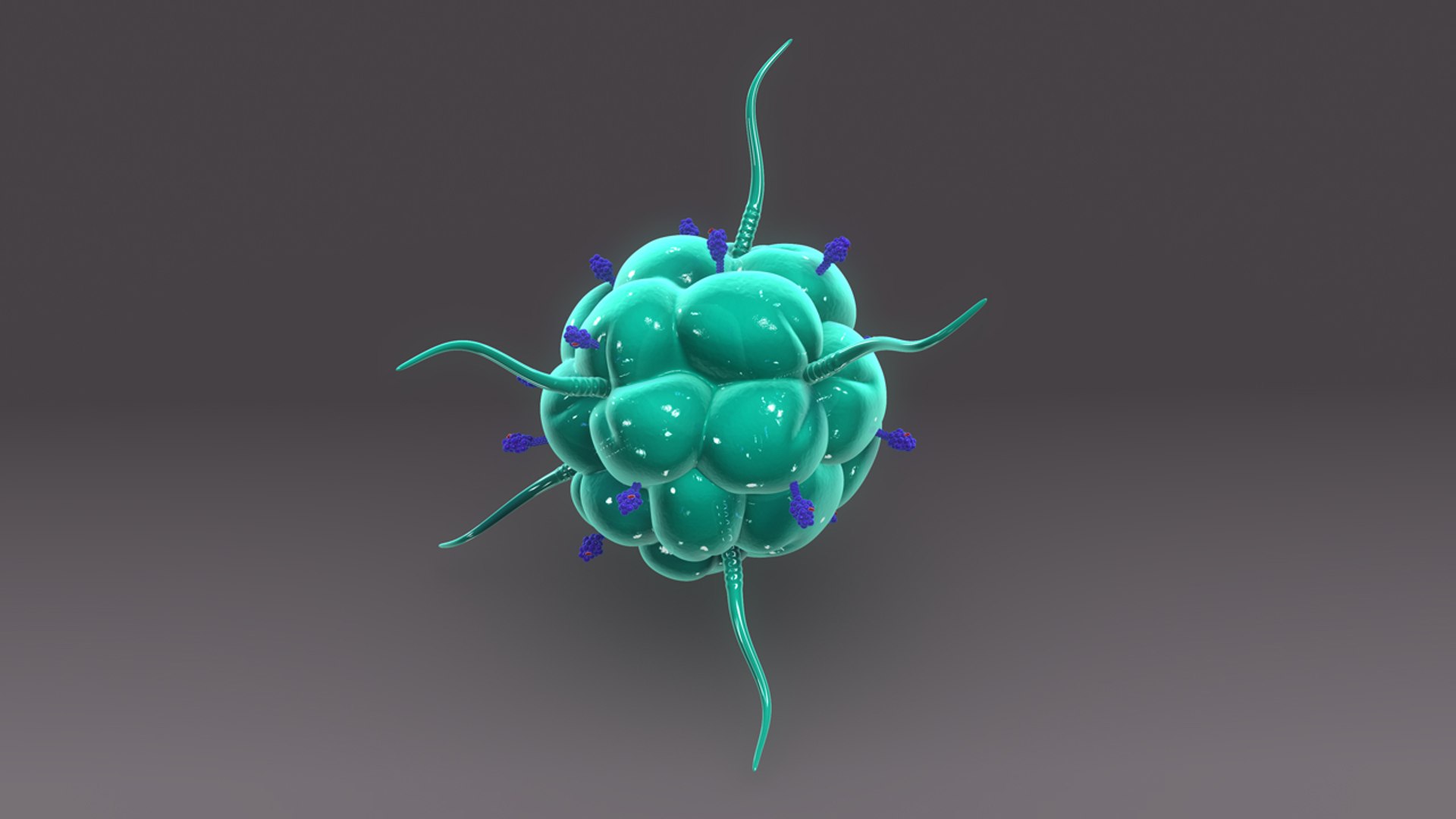 Macrophage Antigen 3d Obj