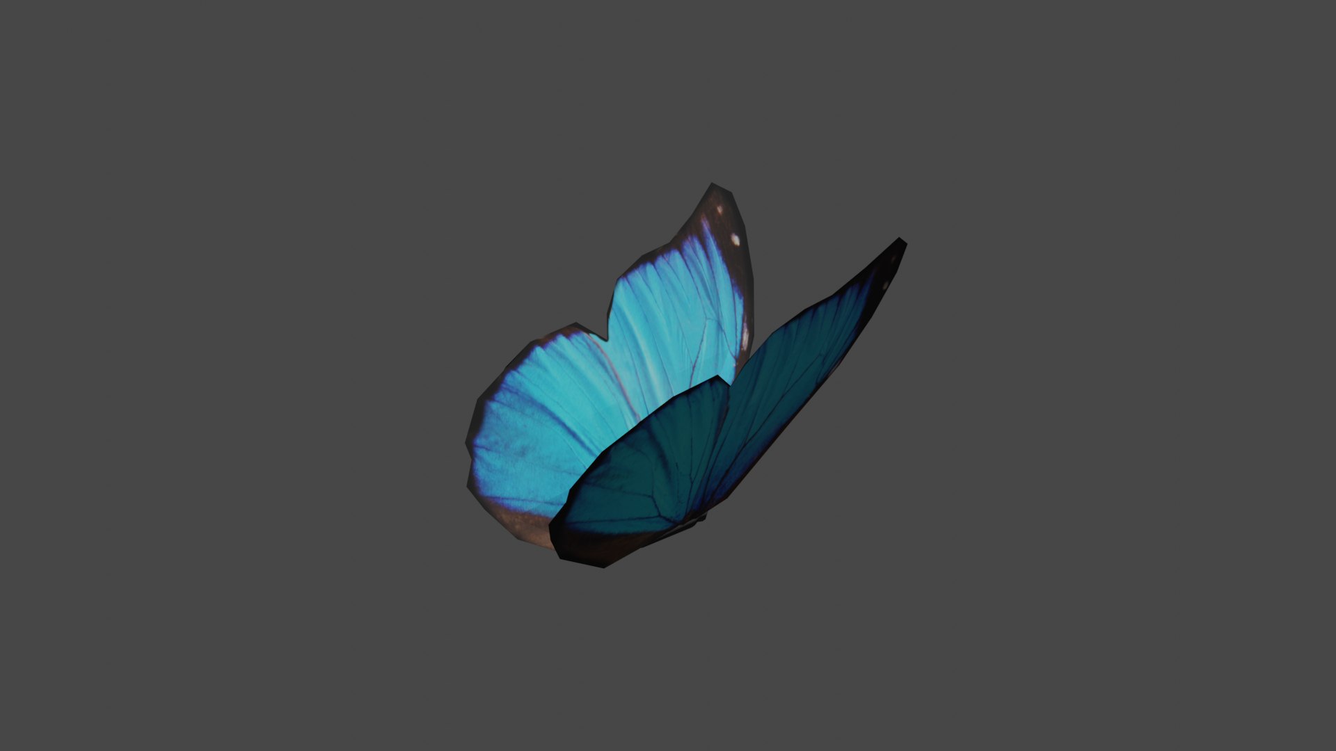 3D ButterflyBlue - TurboSquid 1742906