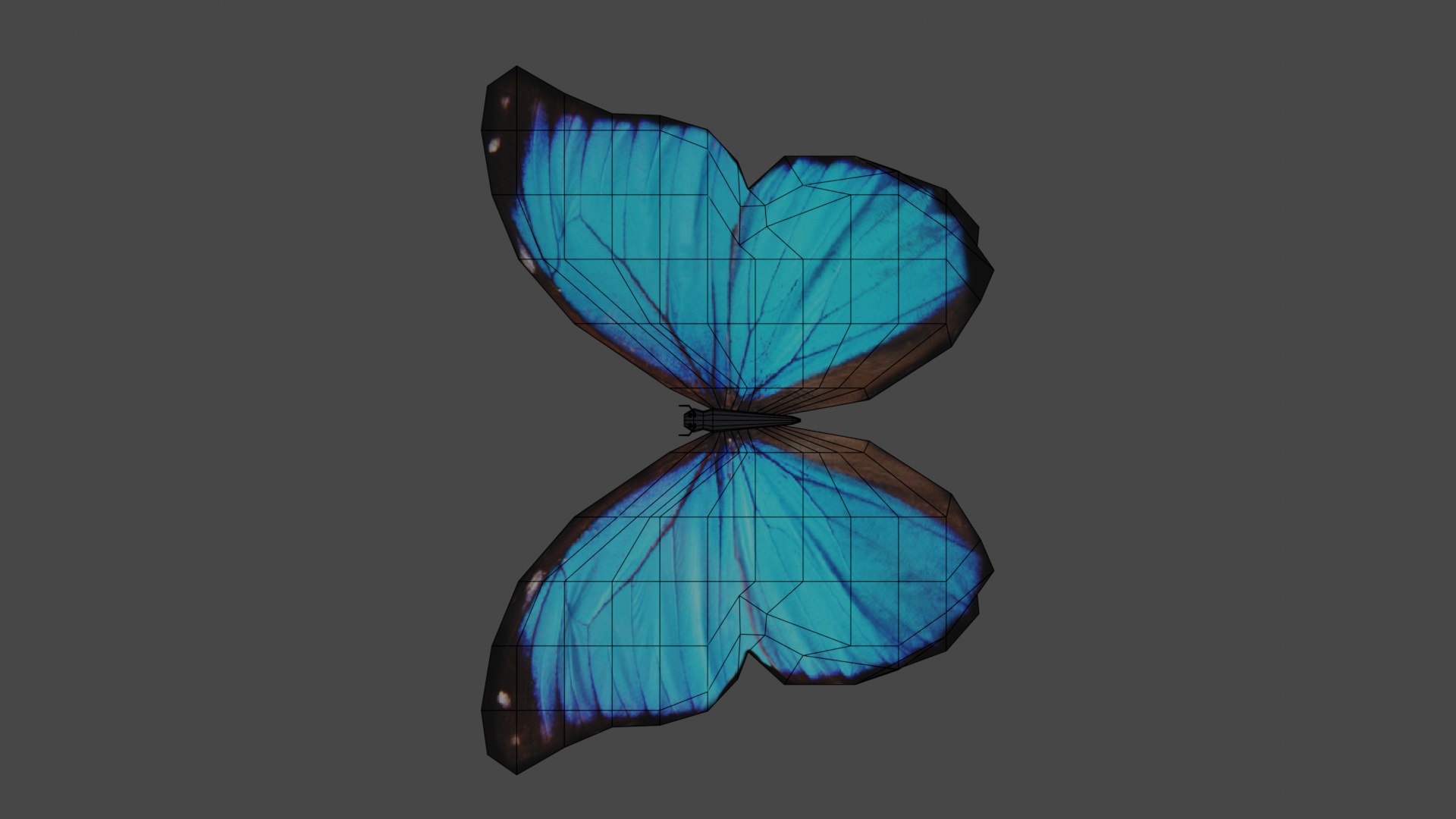 3D ButterflyBlue - TurboSquid 1742906
