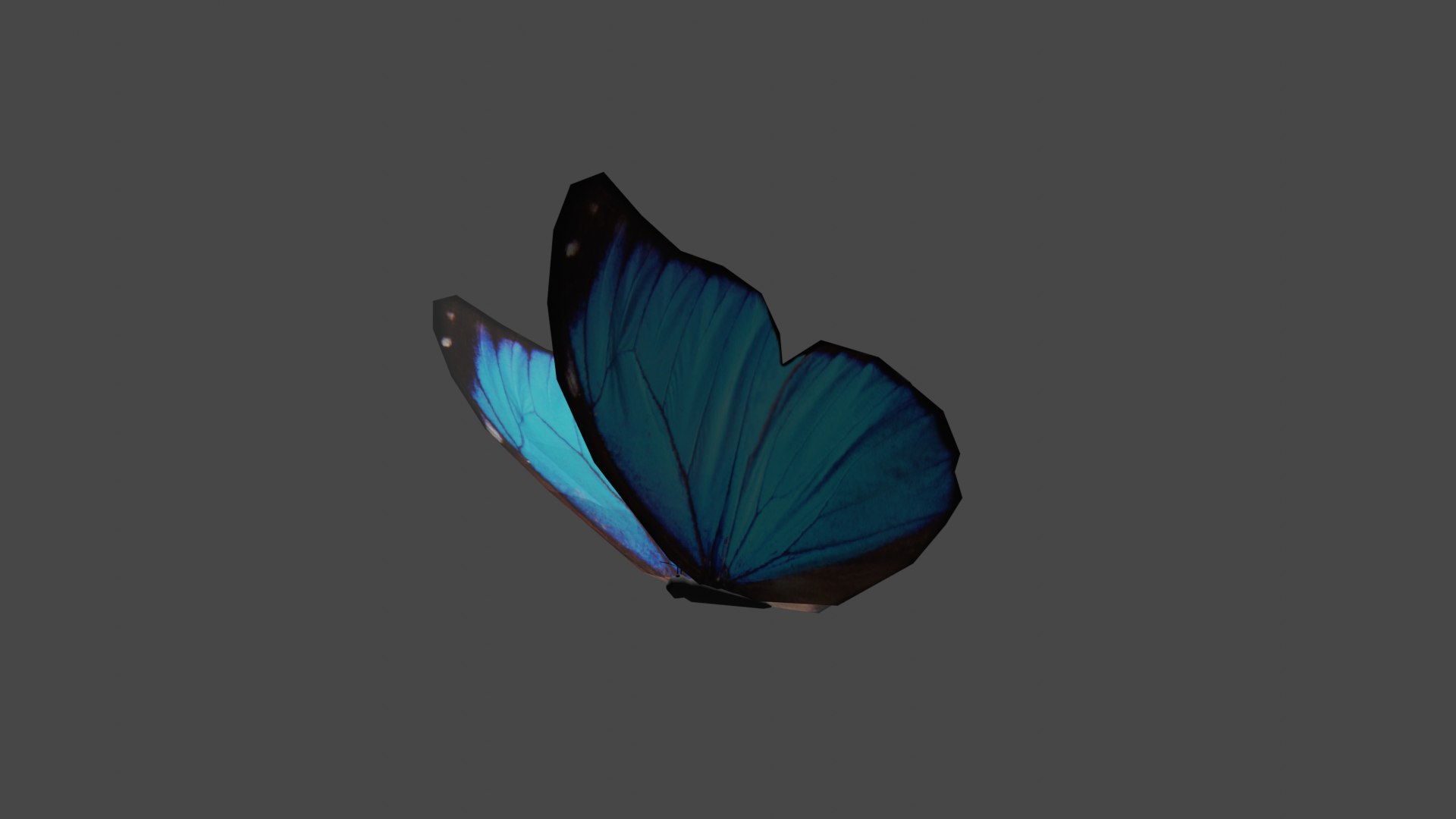 3D ButterflyBlue - TurboSquid 1742906