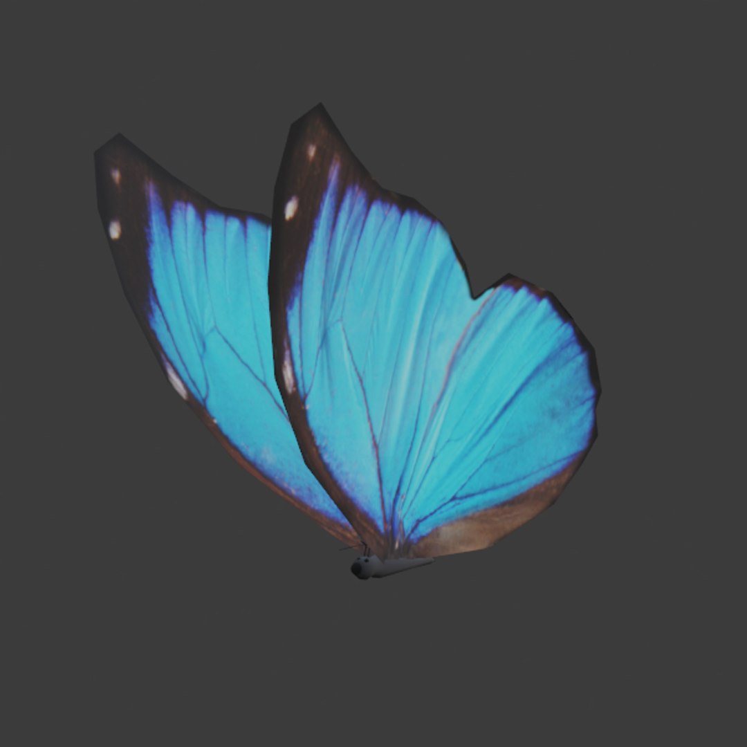 3D ButterflyBlue - TurboSquid 1742906