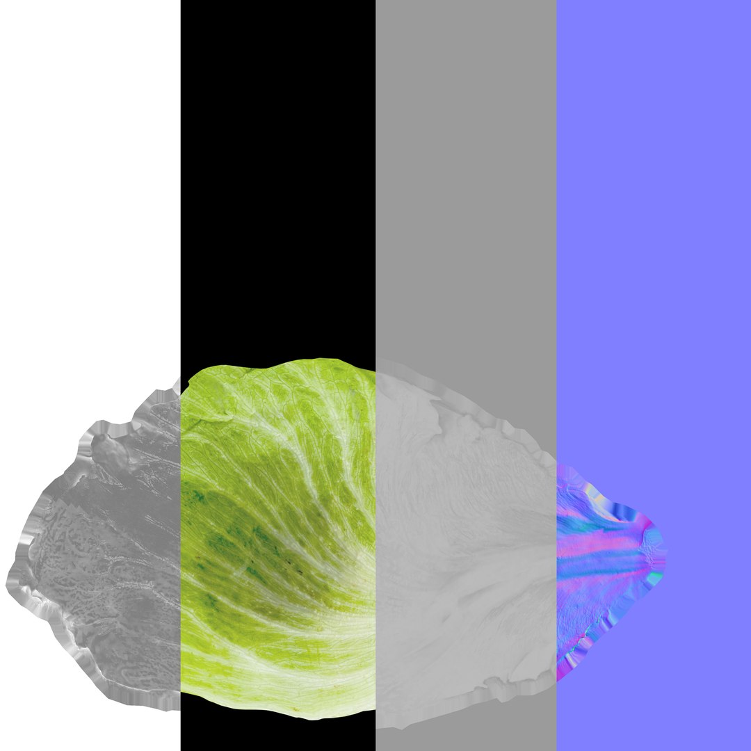 3D model Lettuce Leaf 01 - TurboSquid 1839414