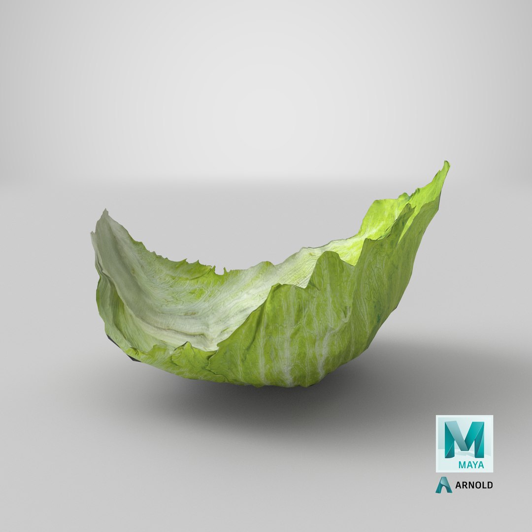 3D model Lettuce Leaf 01 - TurboSquid 1839414