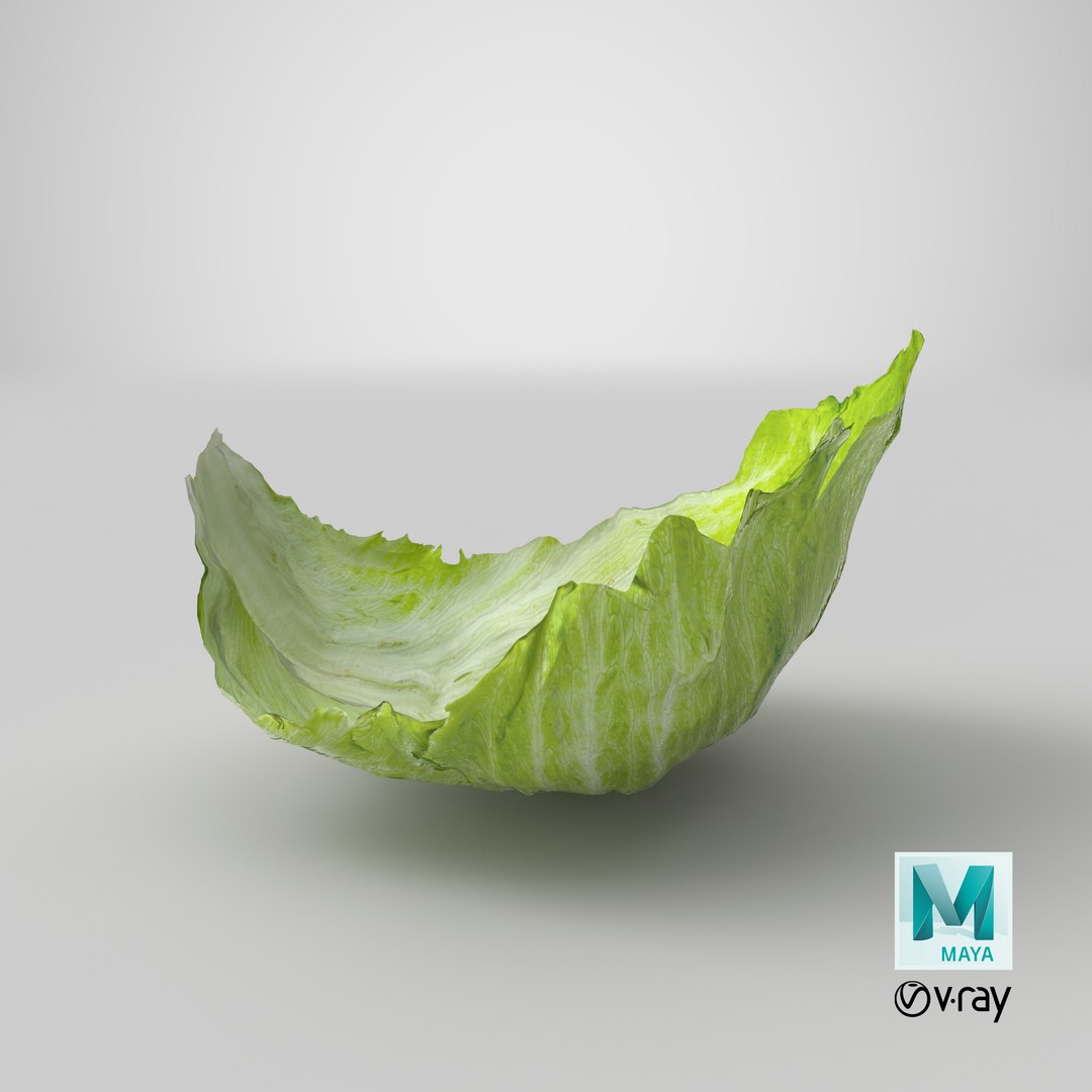 3D model Lettuce Leaf 01 - TurboSquid 1839414