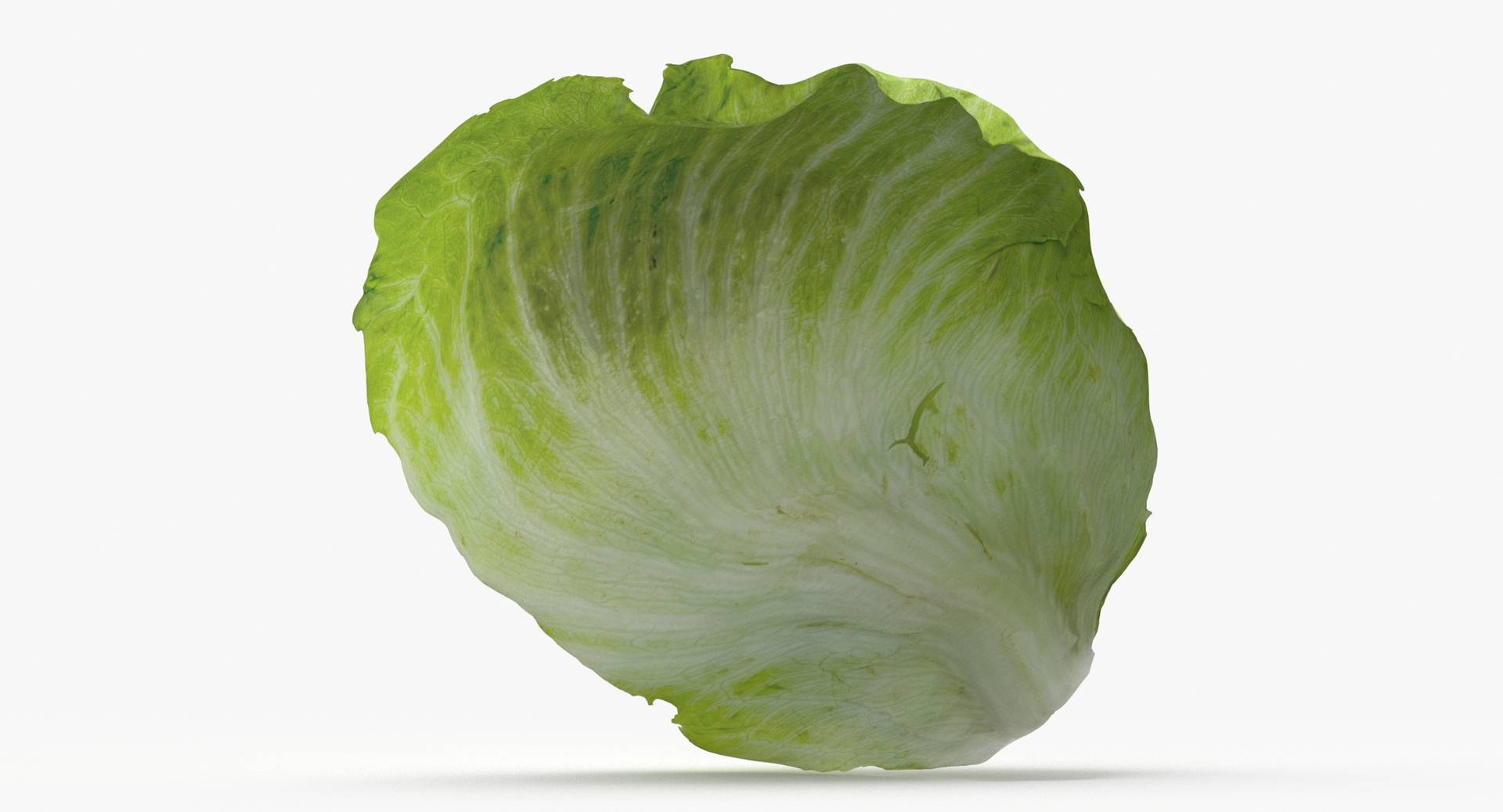 3D model Lettuce Leaf 01 - TurboSquid 1839414