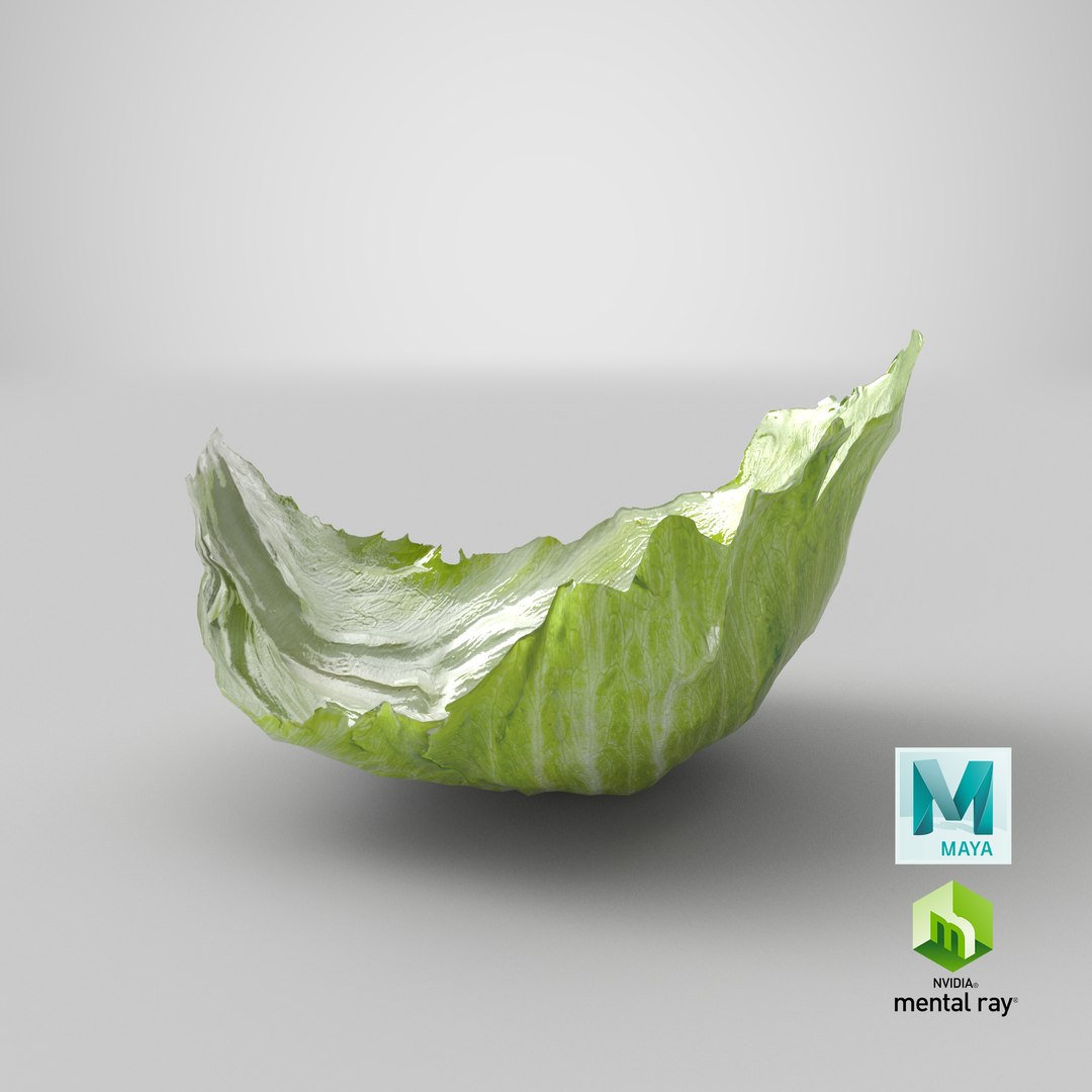 3D model Lettuce Leaf 01 - TurboSquid 1839414